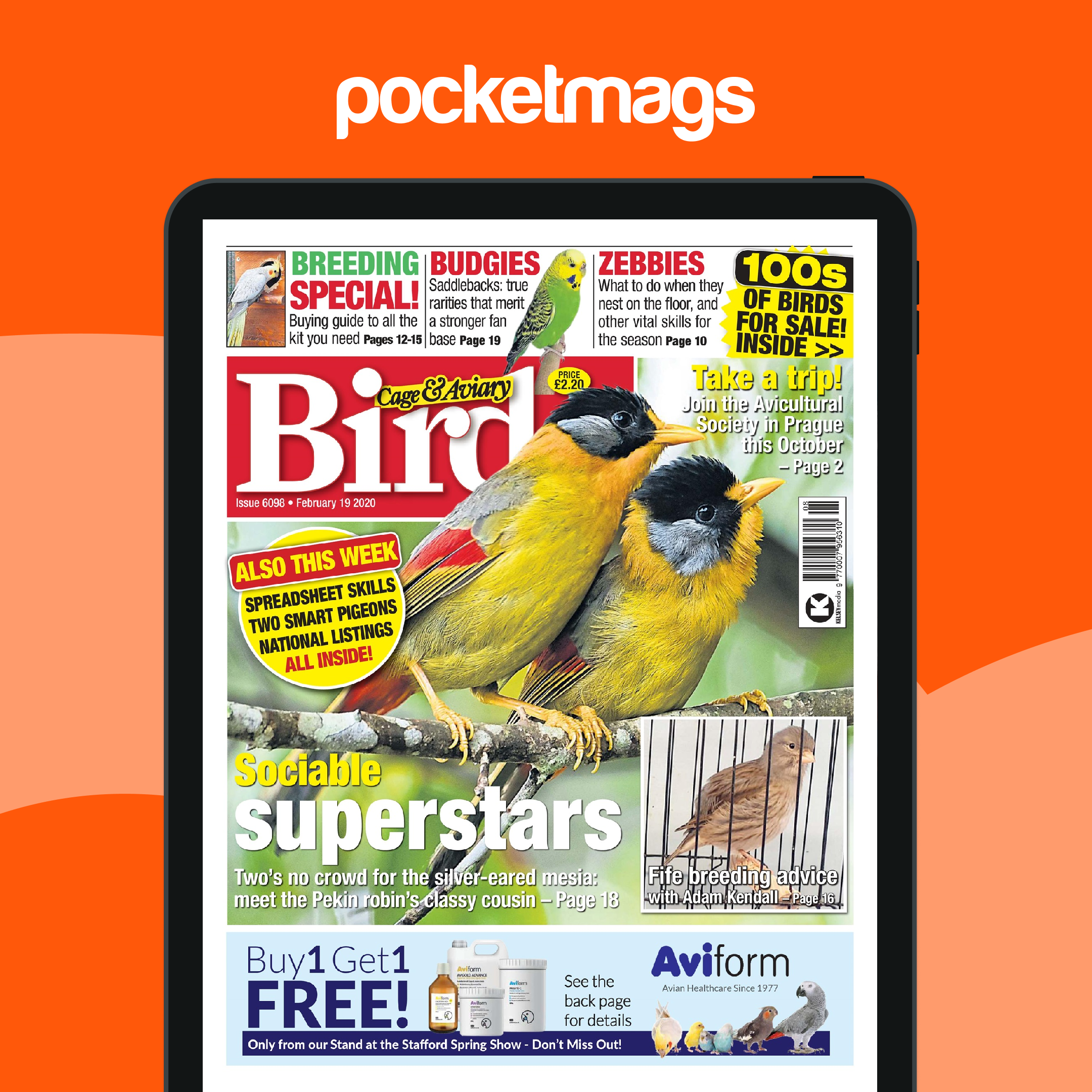 Cage & Aviary Birds Magazine - 19/02/2020 Retour à l'édition précédente
