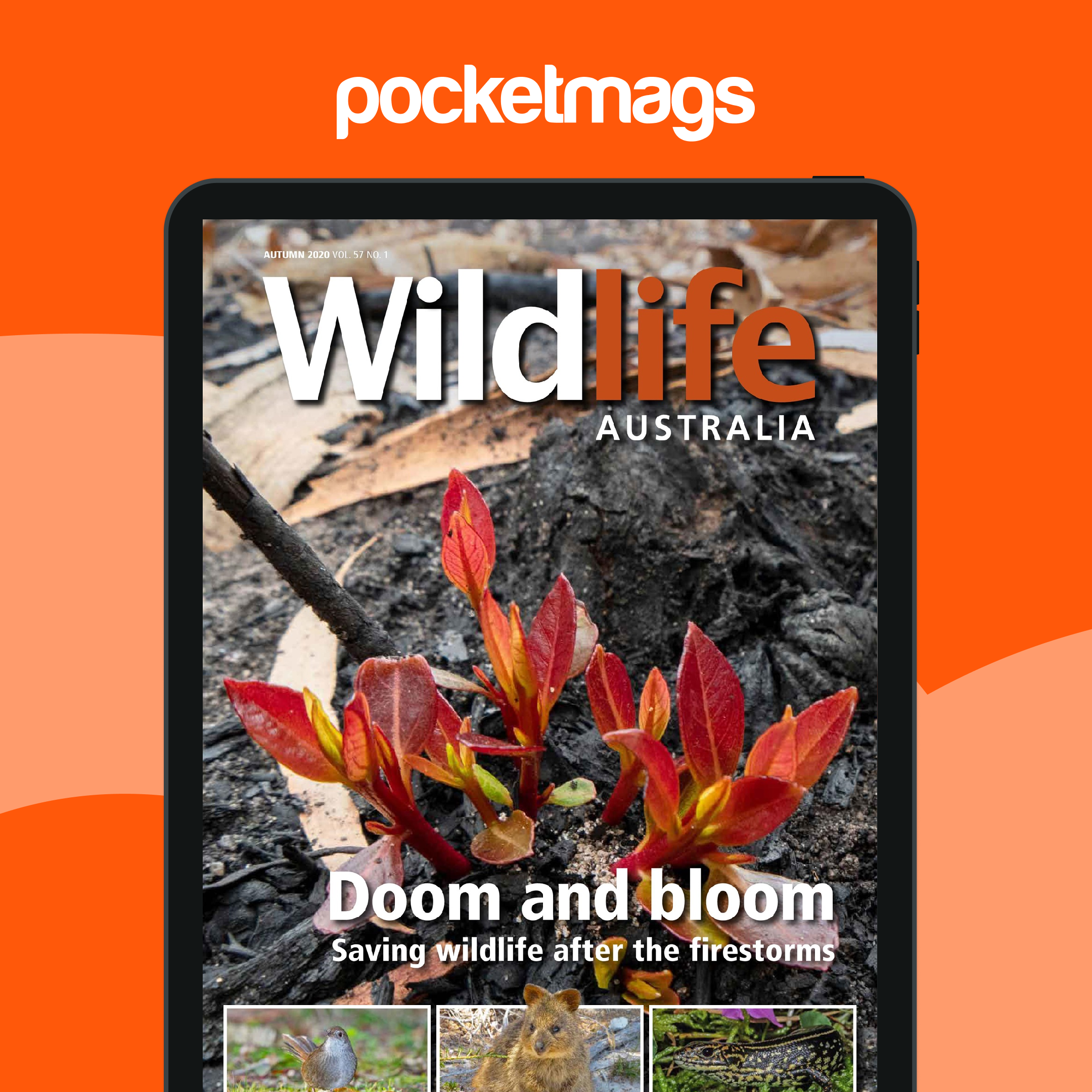 Wildlife Australia Magazine - Wildlife Australia Magazine Autumn 2020 ...
