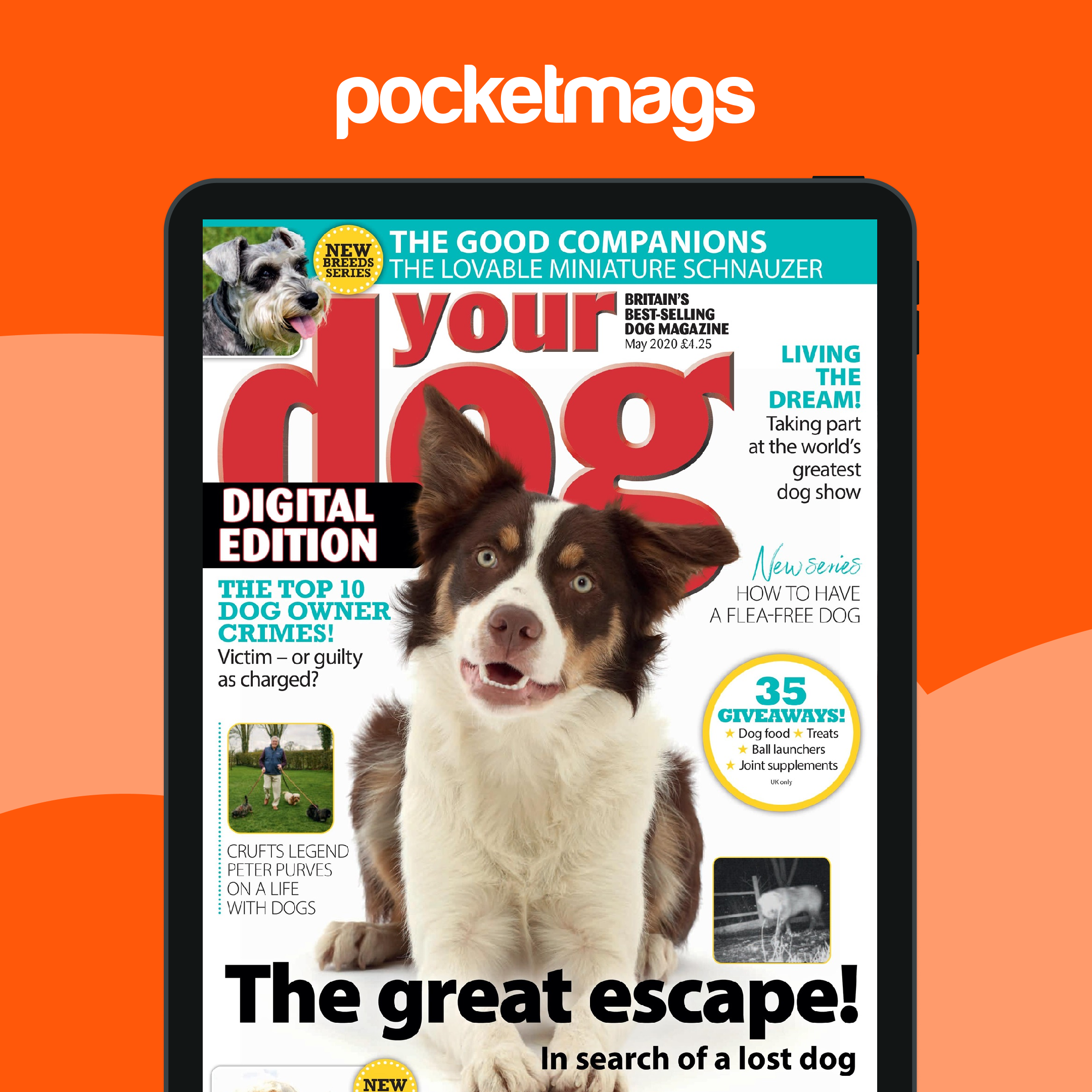 Your Dog Magazine - Your Dog Magazine May 2020 Back Issue