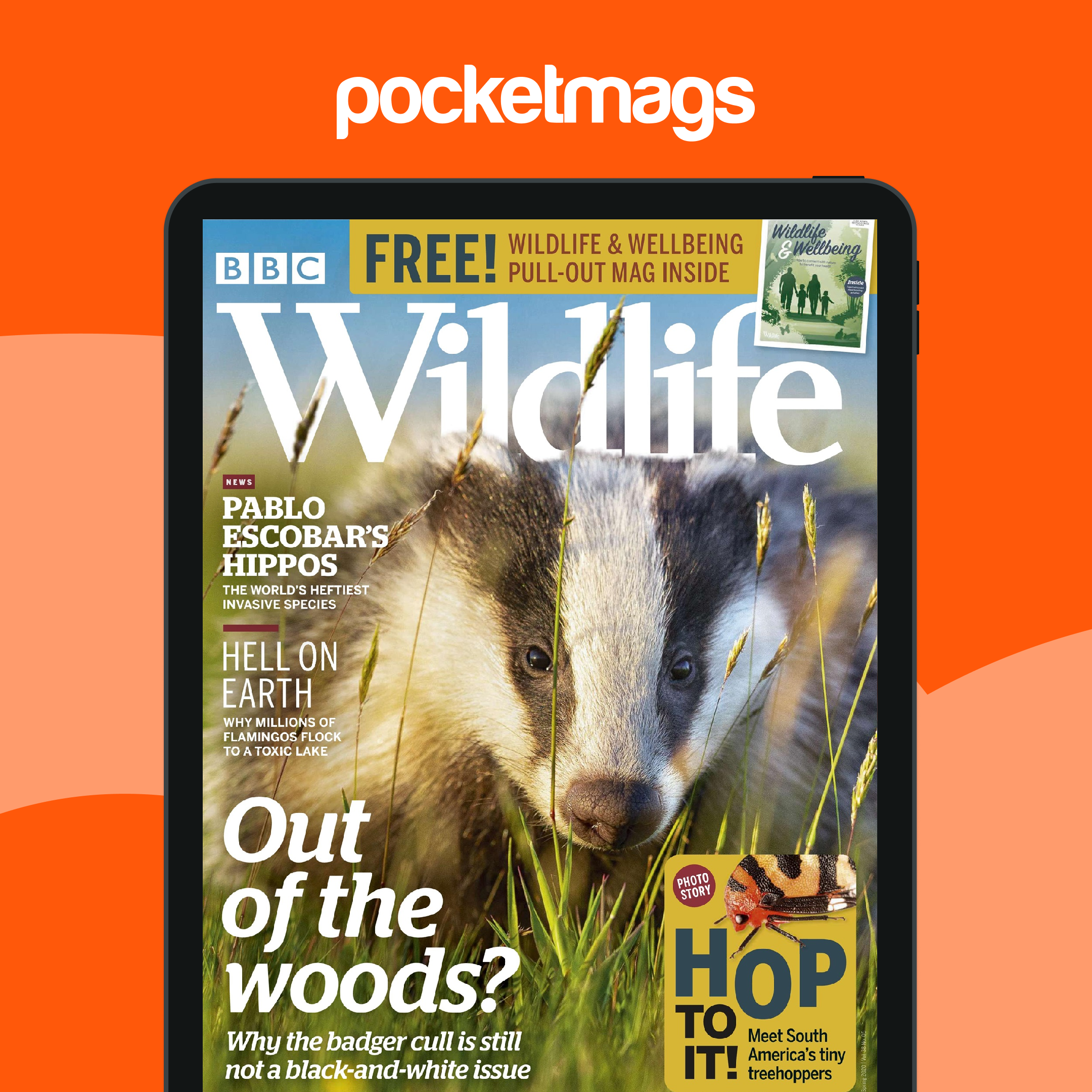 BBC Wildlife Magazine - Spring 2020 Back Issue