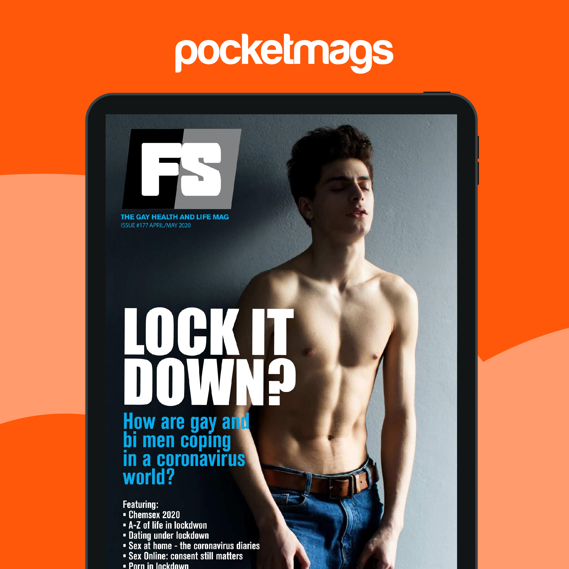 FS International Magazine - FS 177 Back Issue