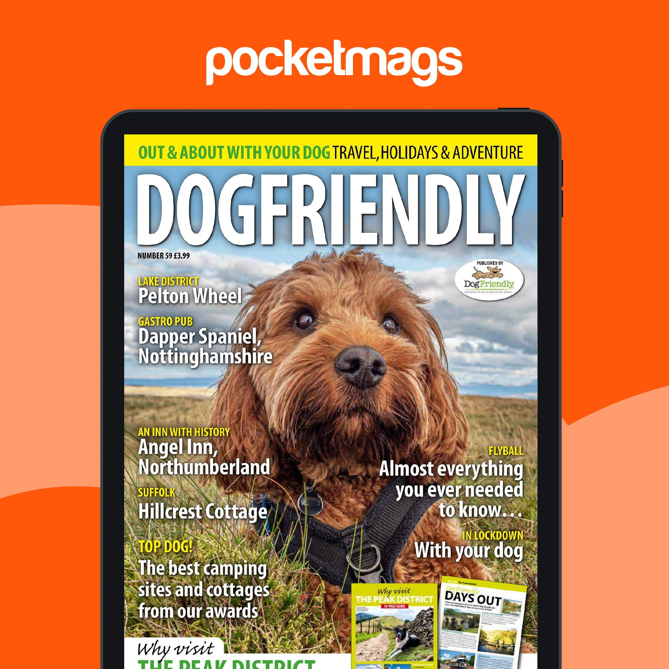Dog Friendly Magazine - May-Jun 2020 Back Issue