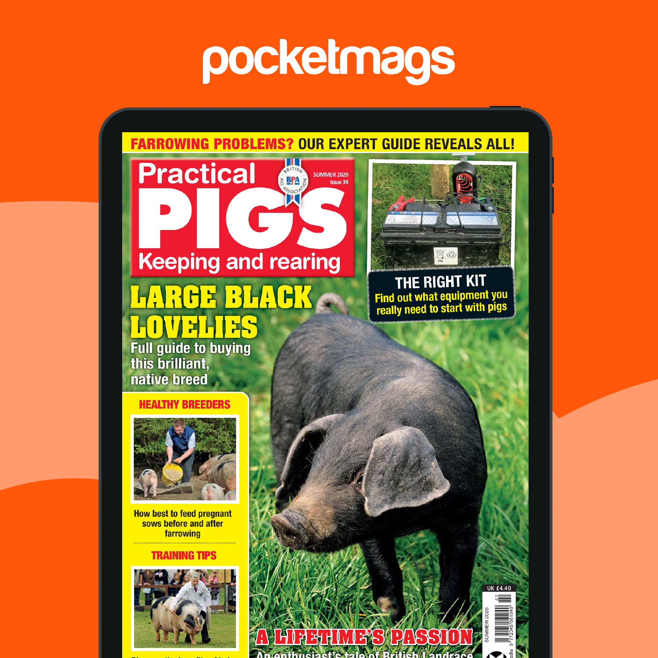 Practical Pigs Magazine - Summer 2020 Retour à l'édition précédente