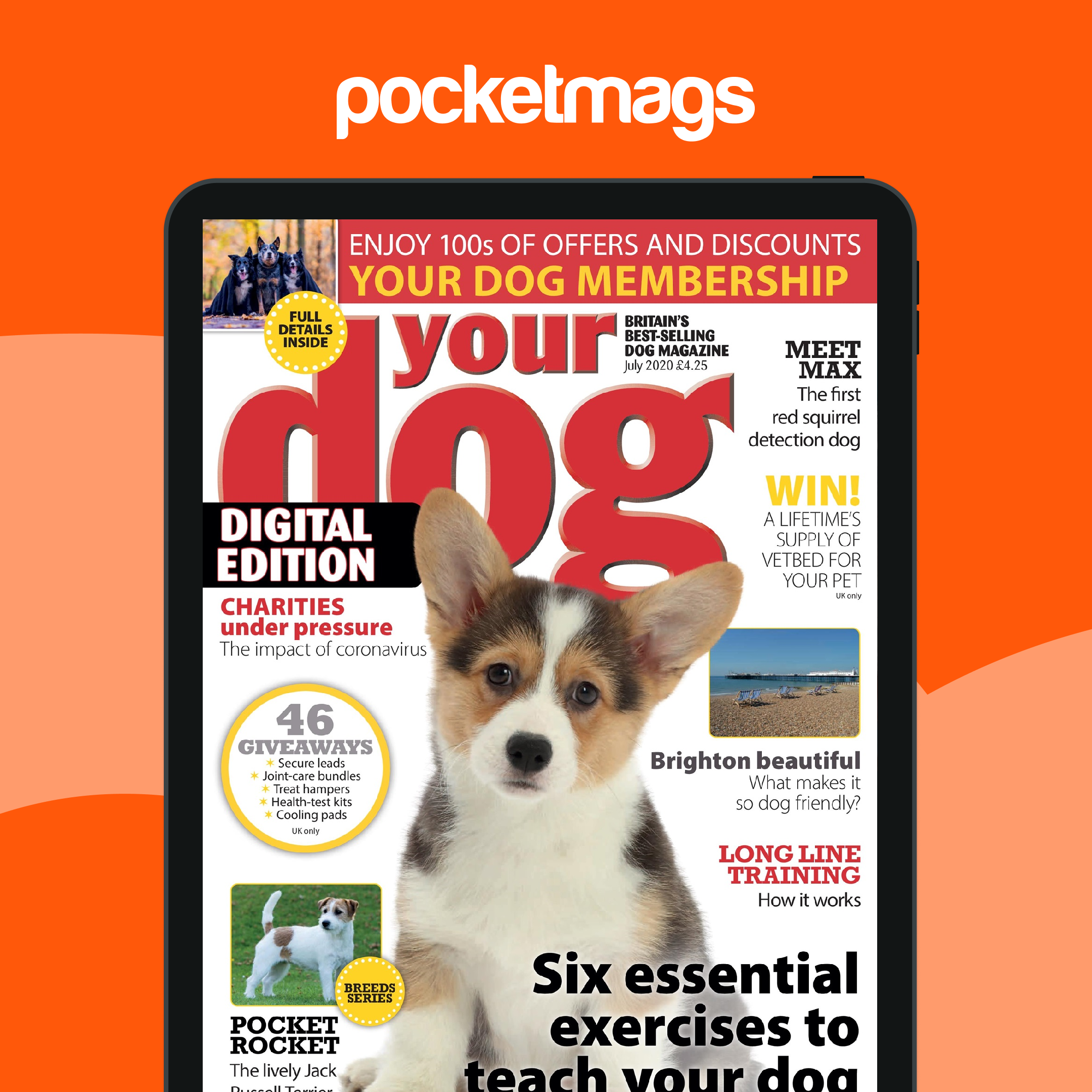Your Dog Magazine - Your Dog Magazine July 2020 Back Issue