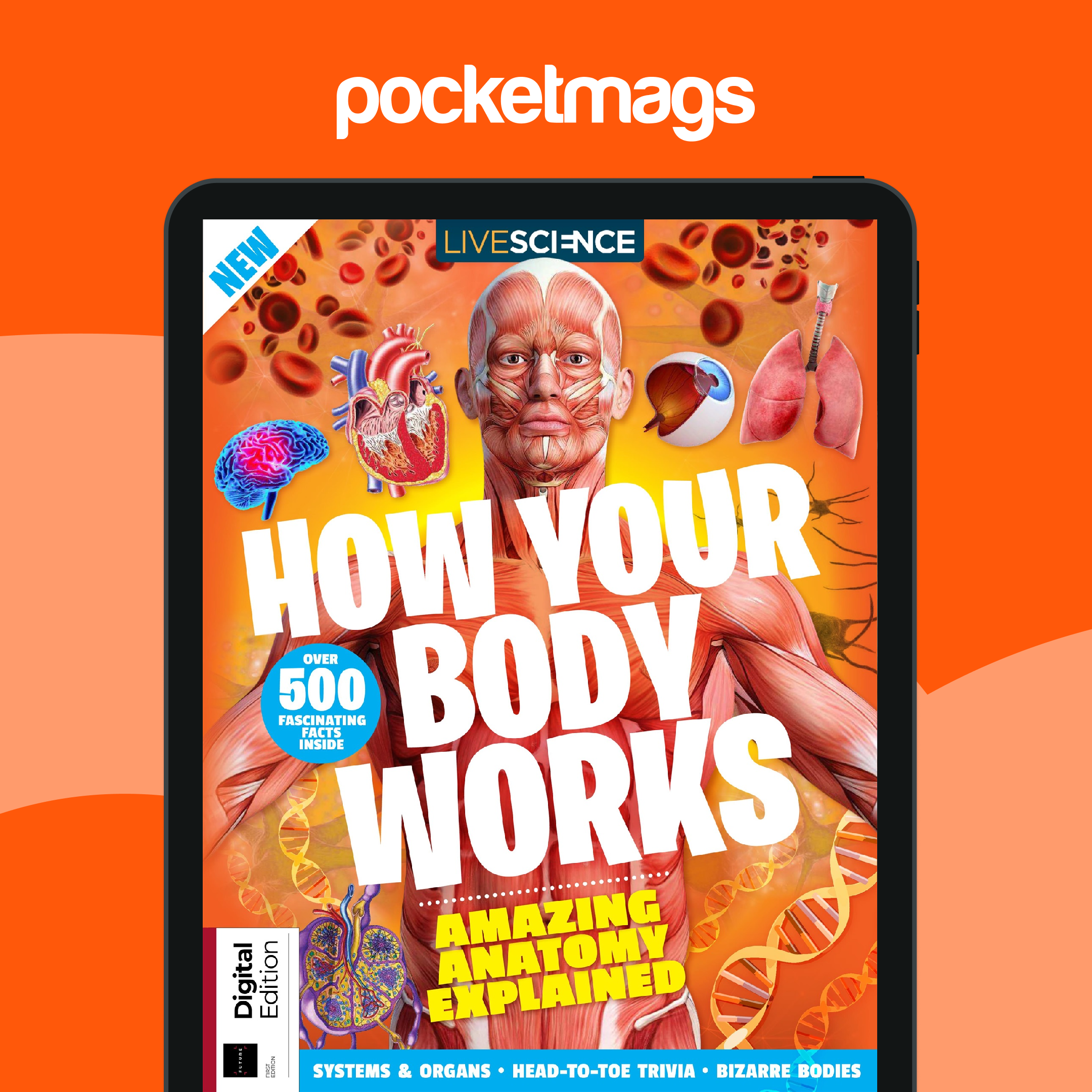 How Your Body Works Magazine Subscriptions and How Your Body Works Issue