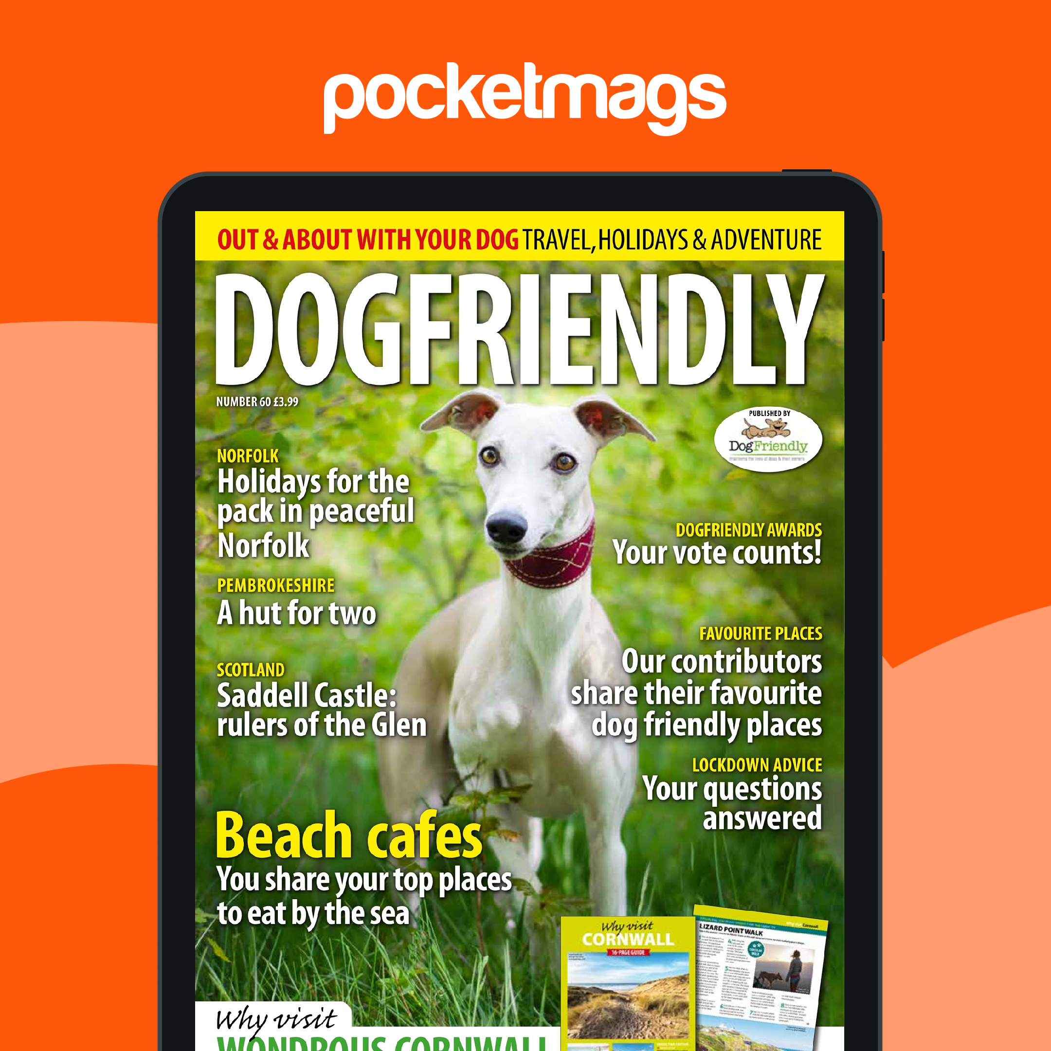 Dog Friendly Magazine - Jul-Aug 2020 Back Issue