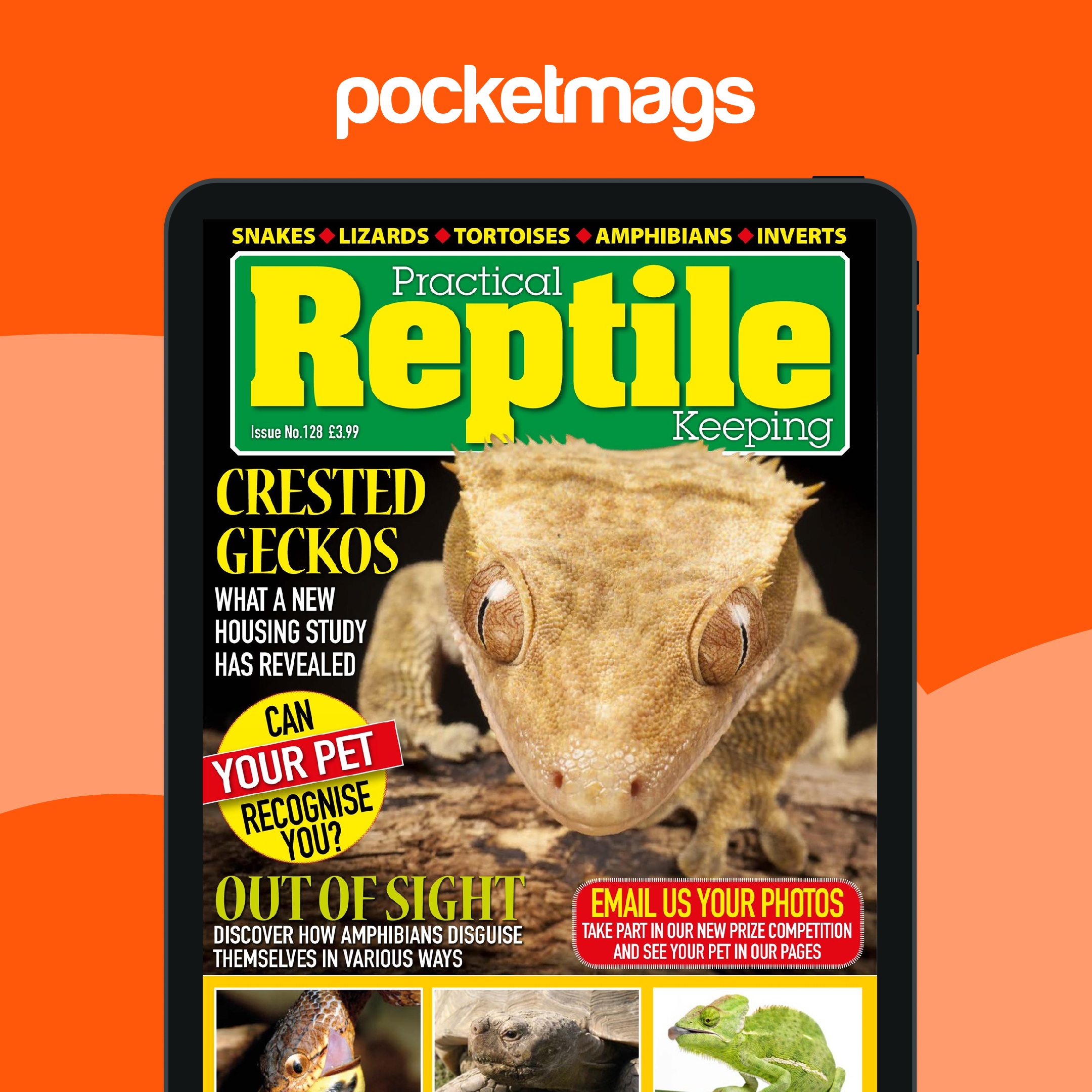 Practical Reptile Keeping Magazine - Issue 128 Back Issue