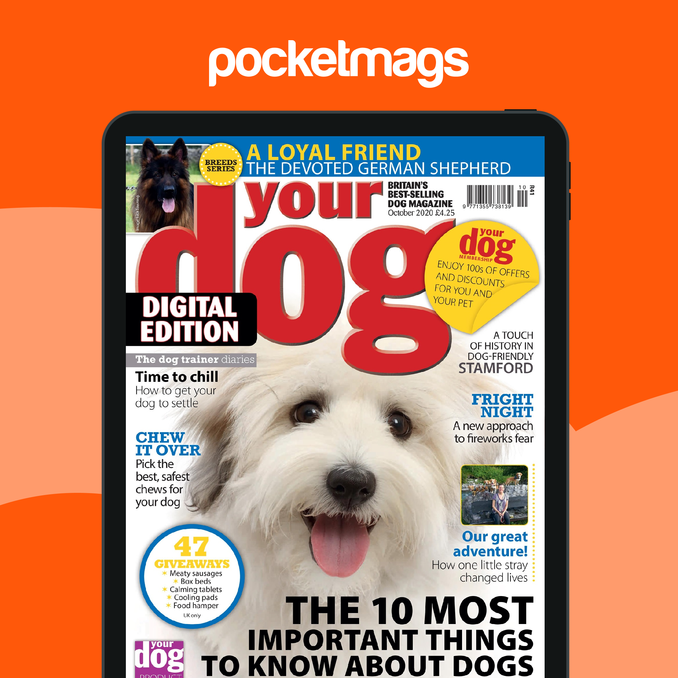 Your Dog Magazine - Your Dog Magazine October 2020 Edição anterior