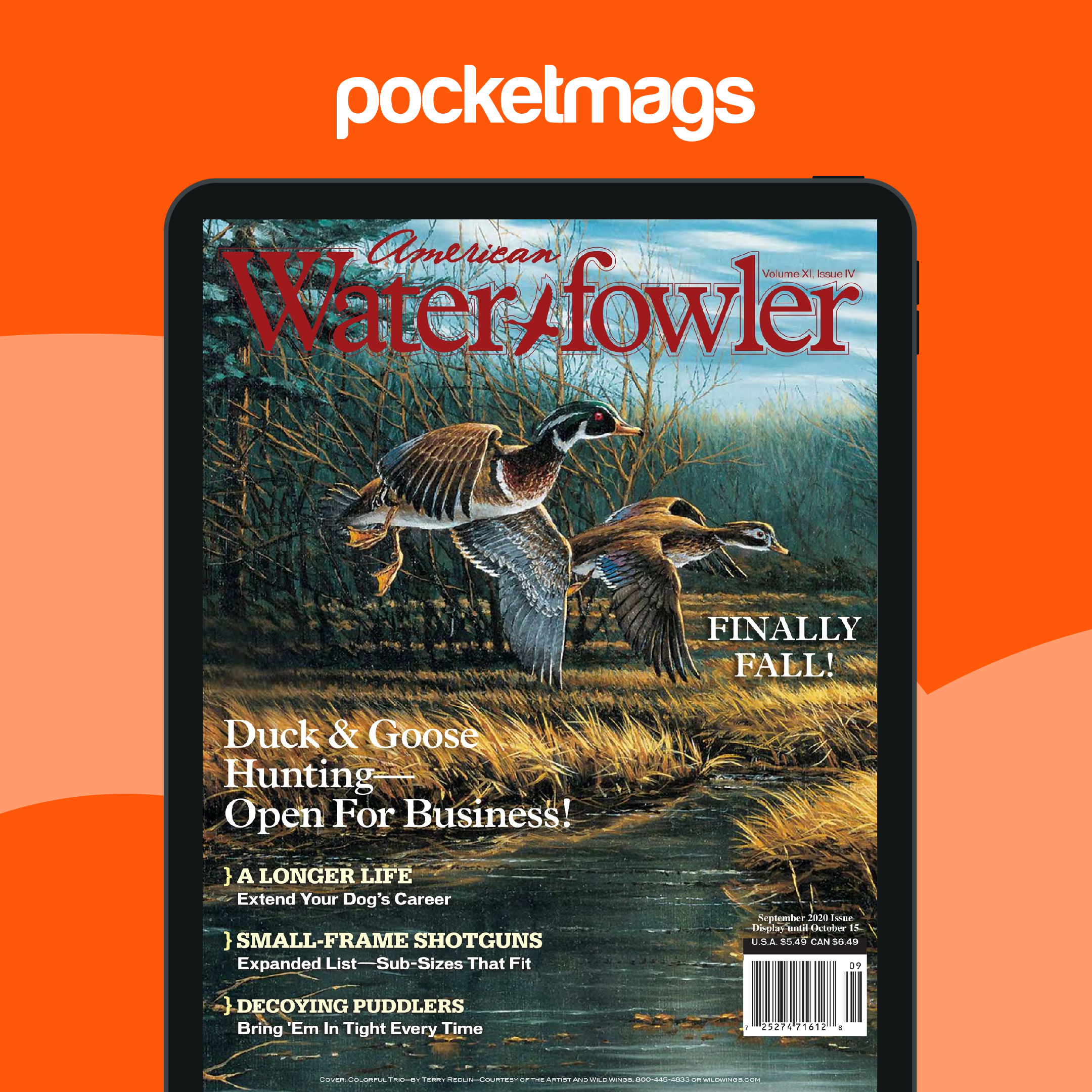 American Waterfowler Magazine - Volume XI, Issue IV Back Issue