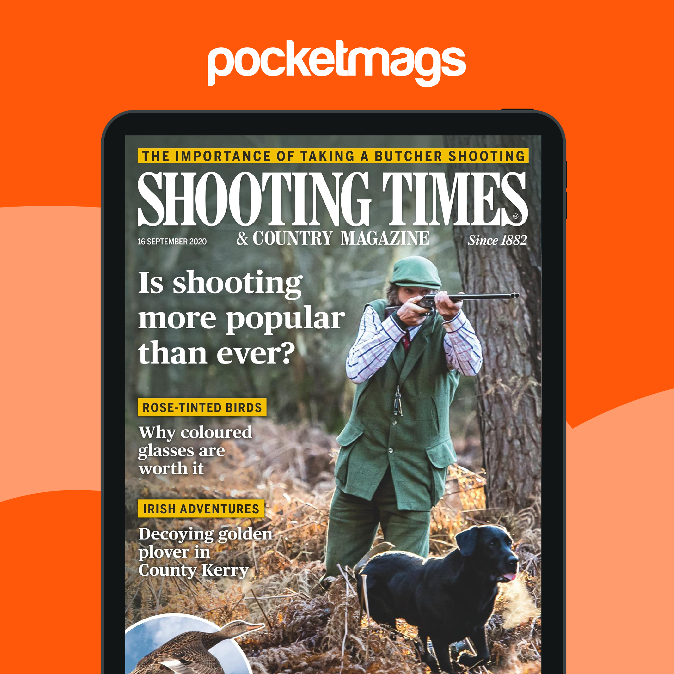 Shooting Times & Country Magazine - 16-Sep-2020 Back Issue