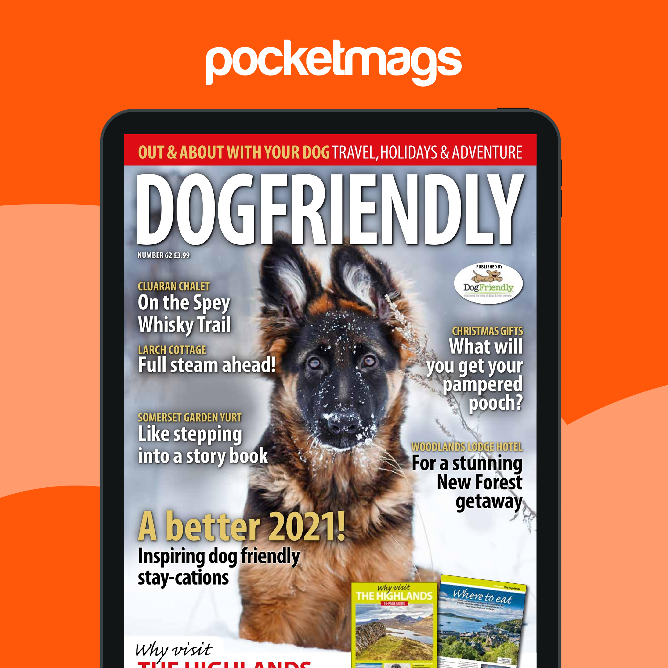 Dog Friendly Magazine - Nov-Dec 2020 Back Issue