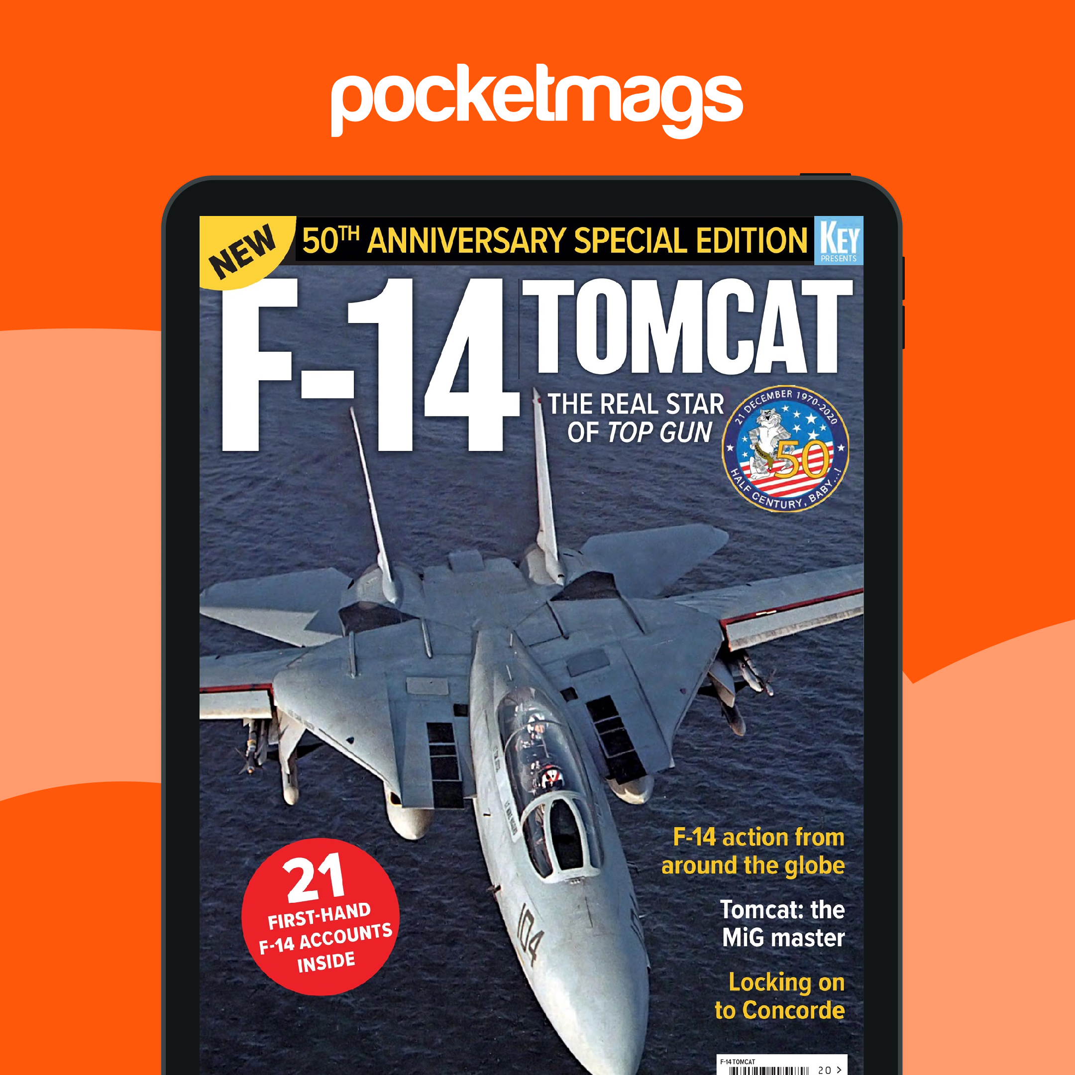 Combat Aircraft Journal Magazine - F-14 Tomcat Edição especial