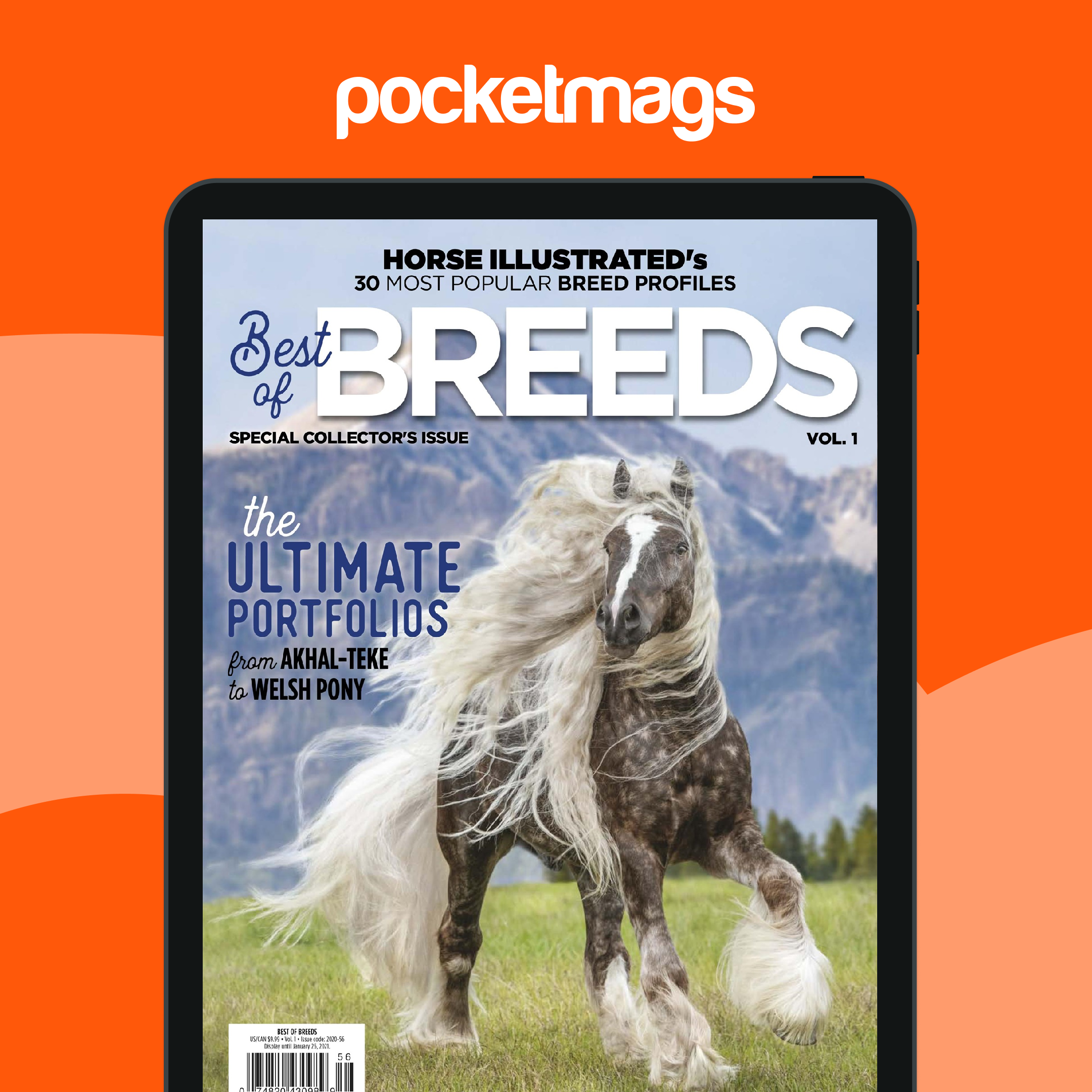 Horse Illustrated Magazine - Best of Breeds Edição especial
