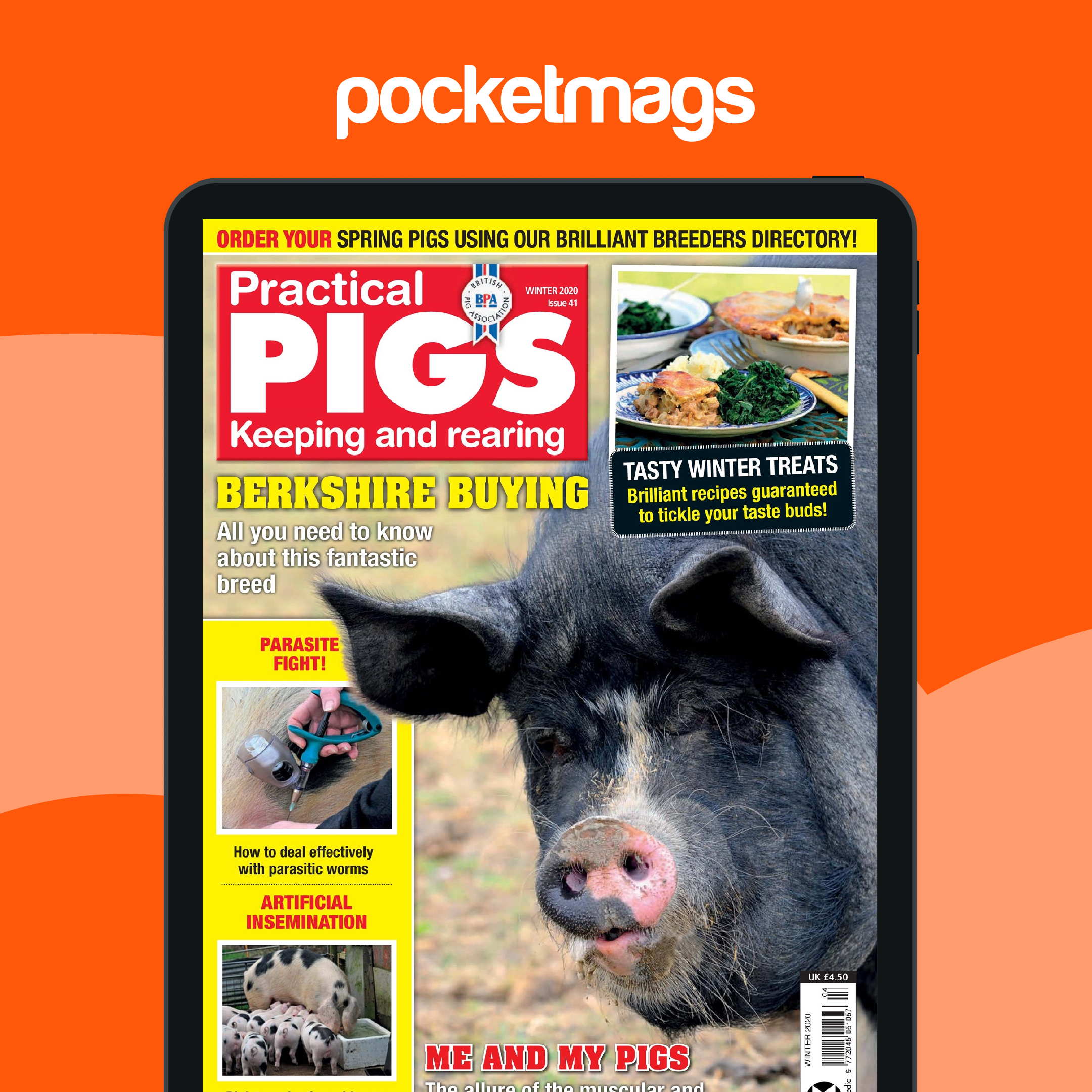 Practical Pigs Magazine - Winter 2020 Edición anterior