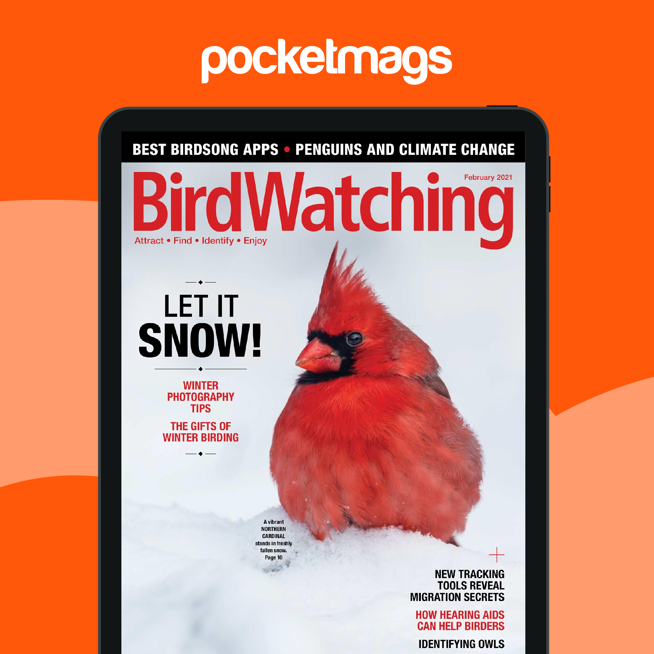 BirdWatching Magazine - Jan/Feb 2021 Back Issue