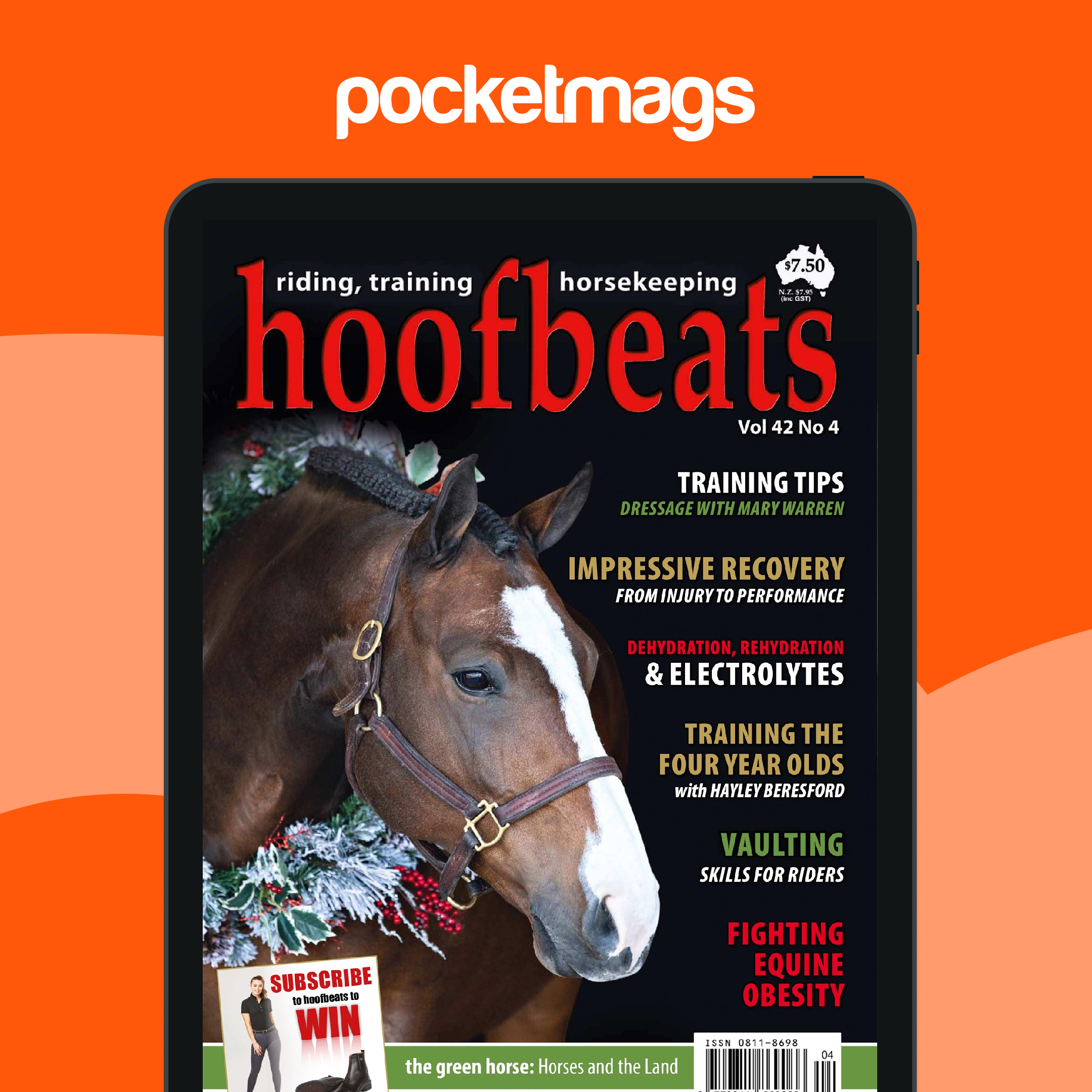 Hoofbeats Magazine - Dec/Jan 2021 Edição anterior