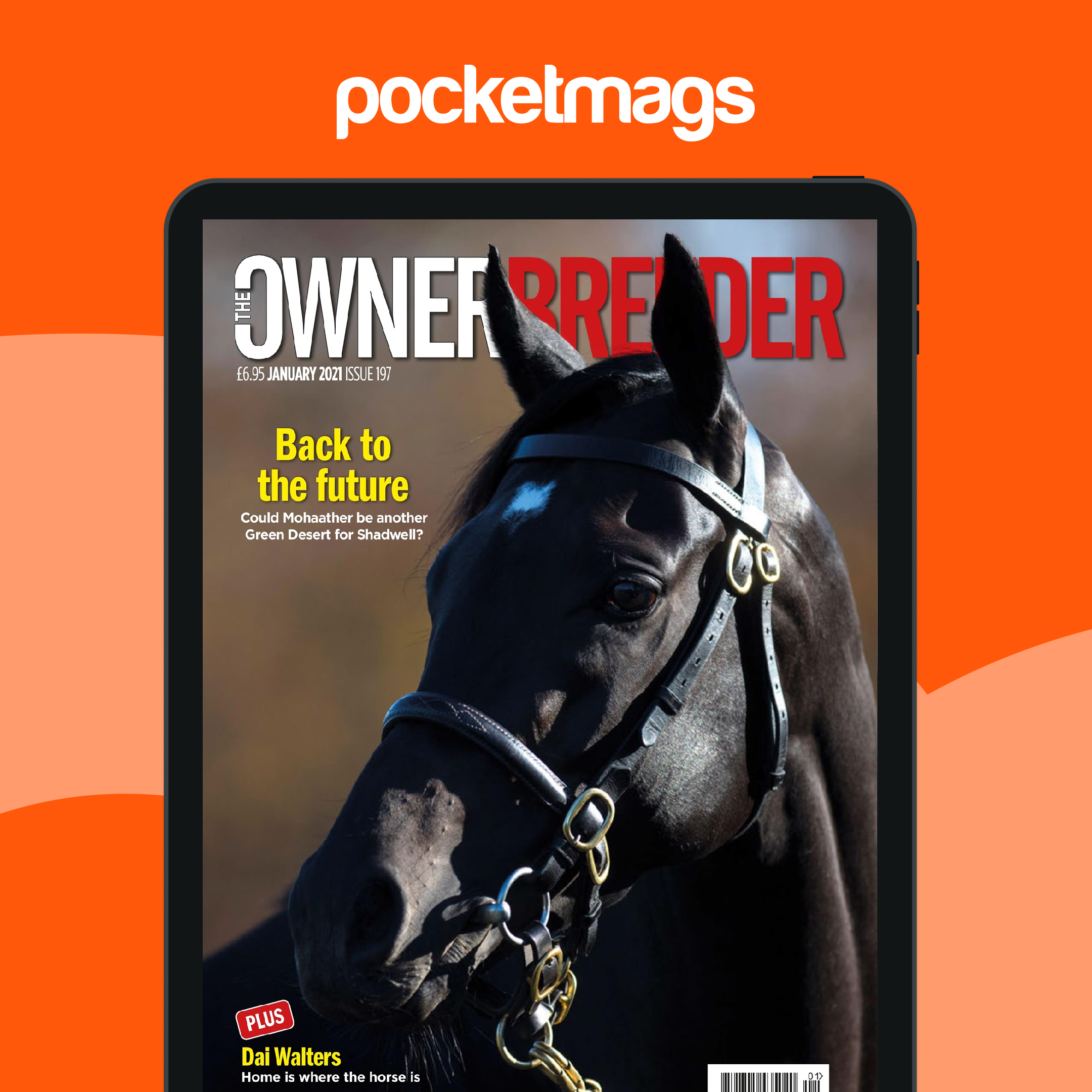 The Owner Breeder Magazine - January 2021 Edición anterior