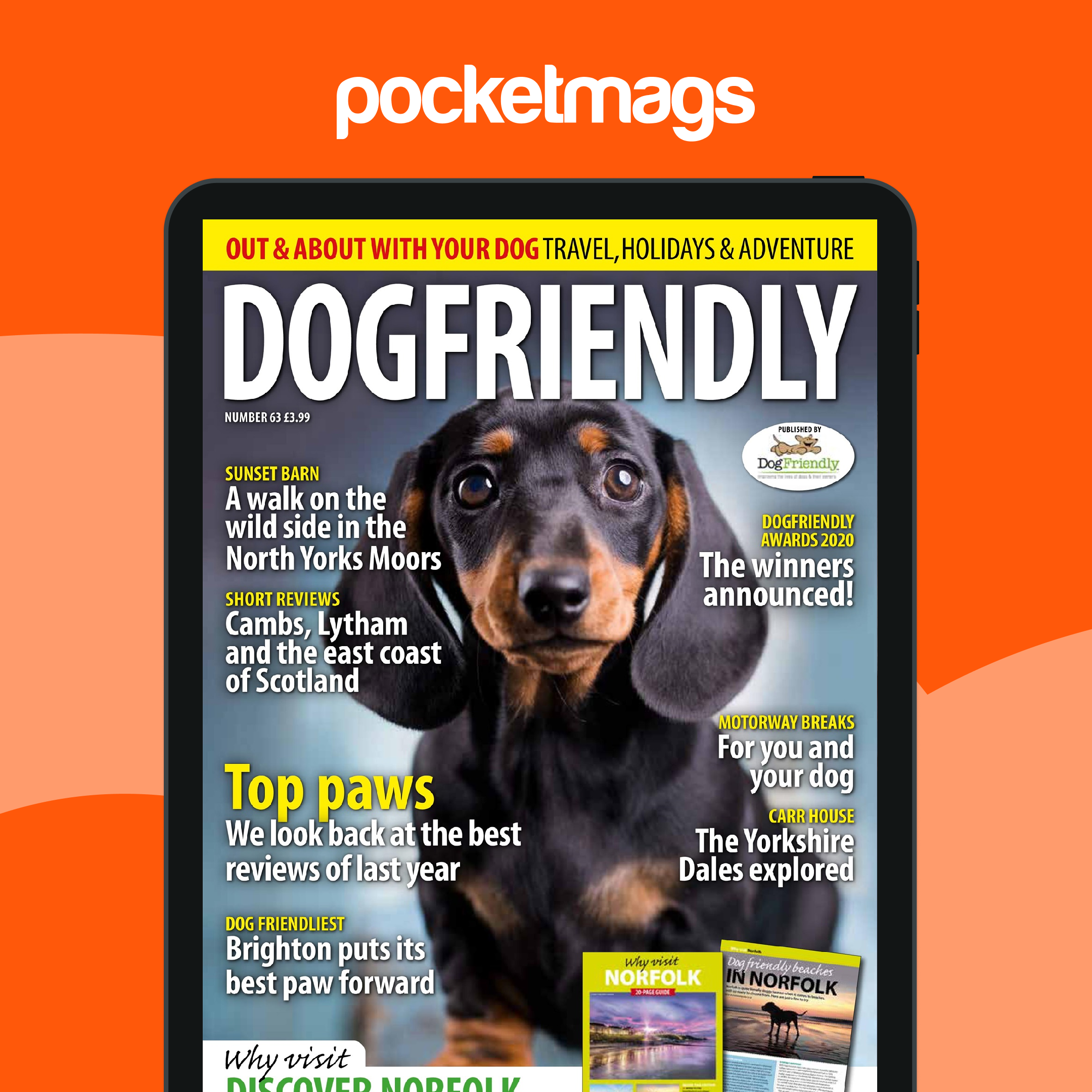 Dog Friendly Magazine - Jan-Feb 21 Edición anterior