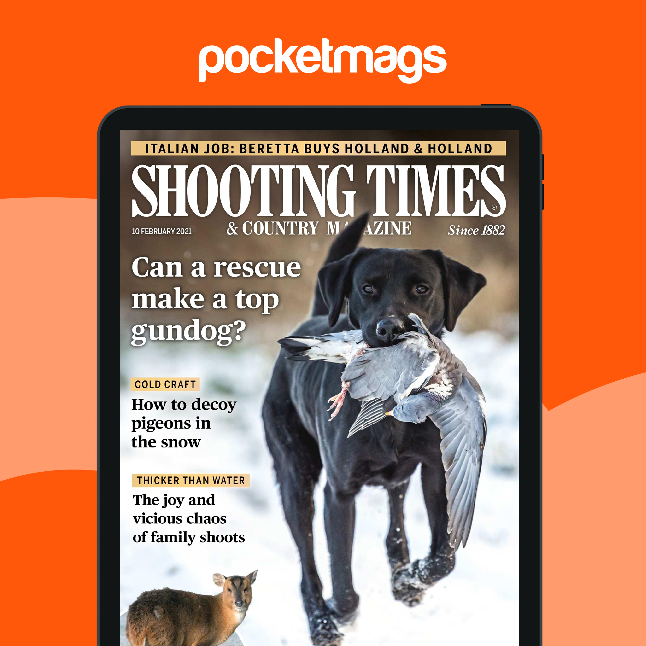 Shooting Times & Country Magazine - 10-Feb-2021 Edición anterior