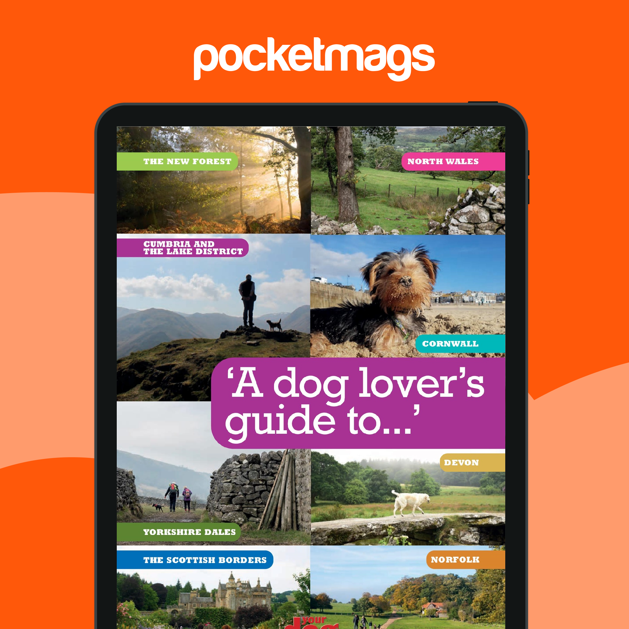 Your Dog Magazine - A dog lover's guide to... Edición especial
