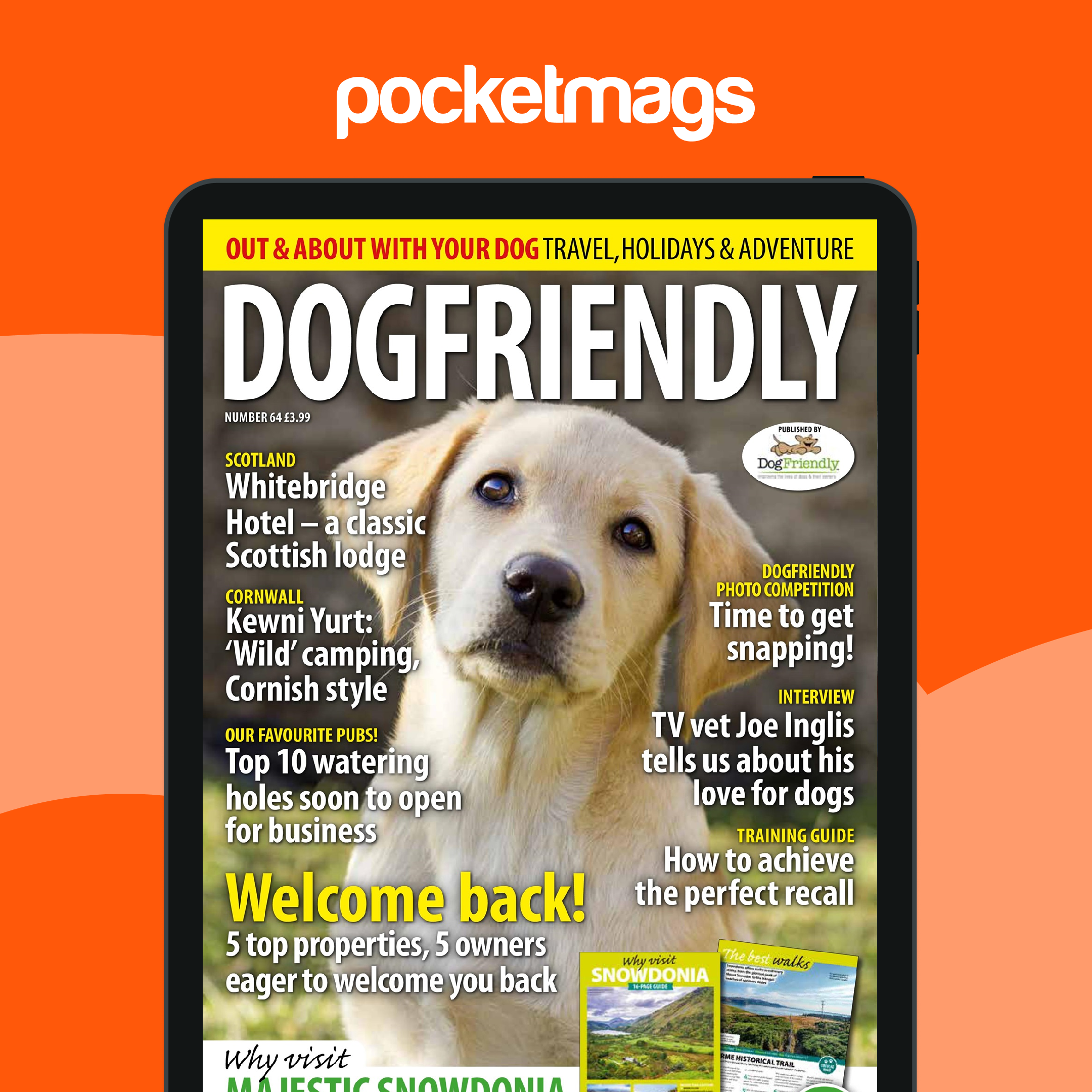 Dog Friendly Magazine - Mar-Apr 21 Back Issue