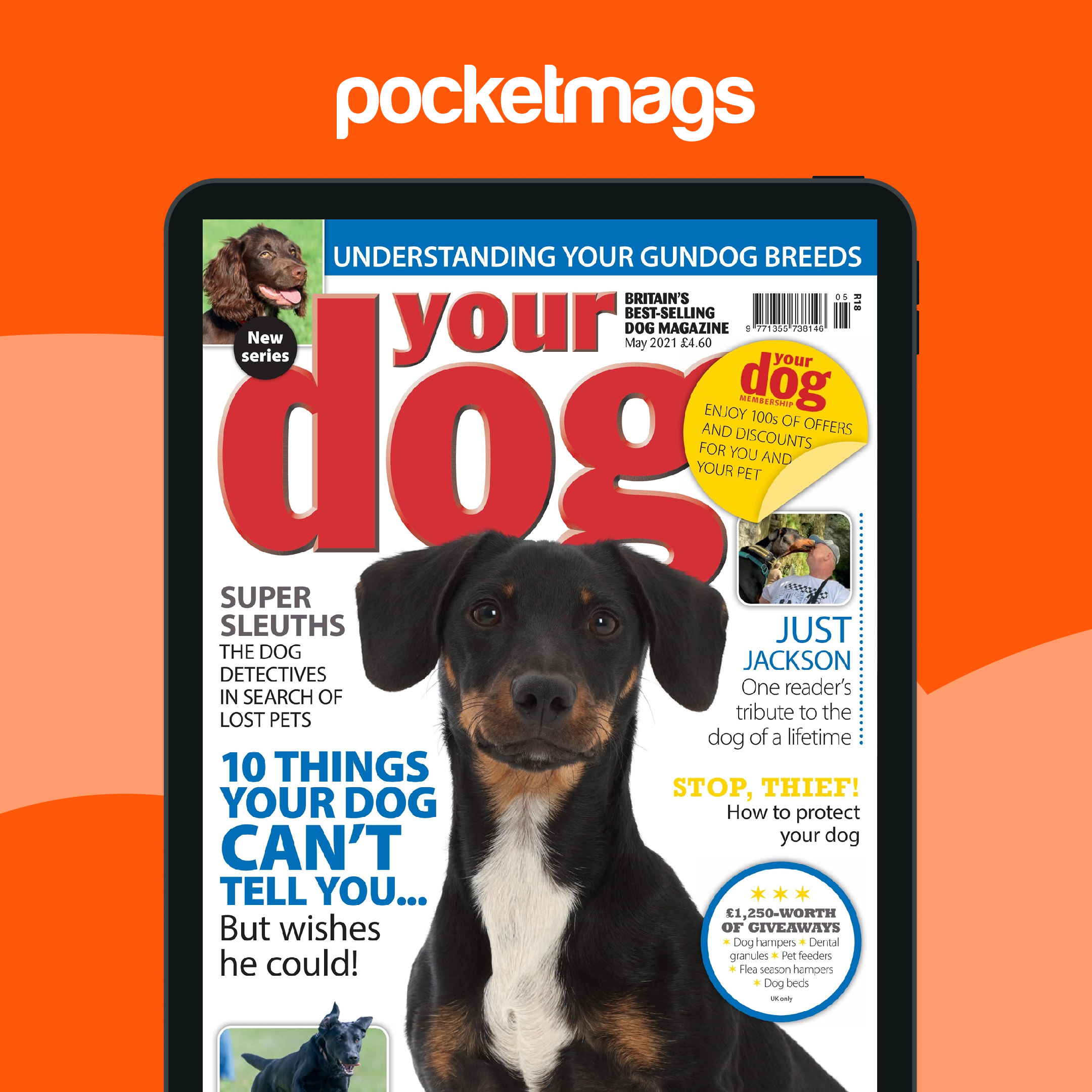 Your Dog Magazine - Your Dog Magazine May 2021 Retour à l'édition ...