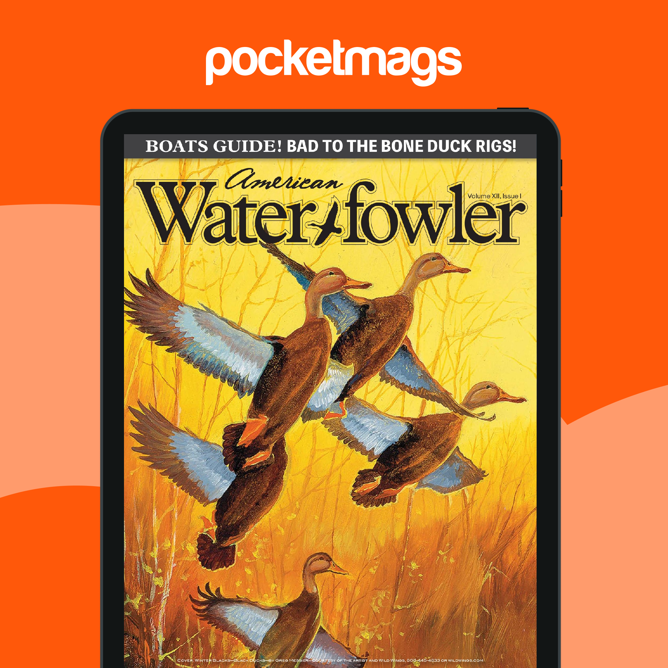 American Waterfowler Magazine - Volume XII Issue I Edición anterior