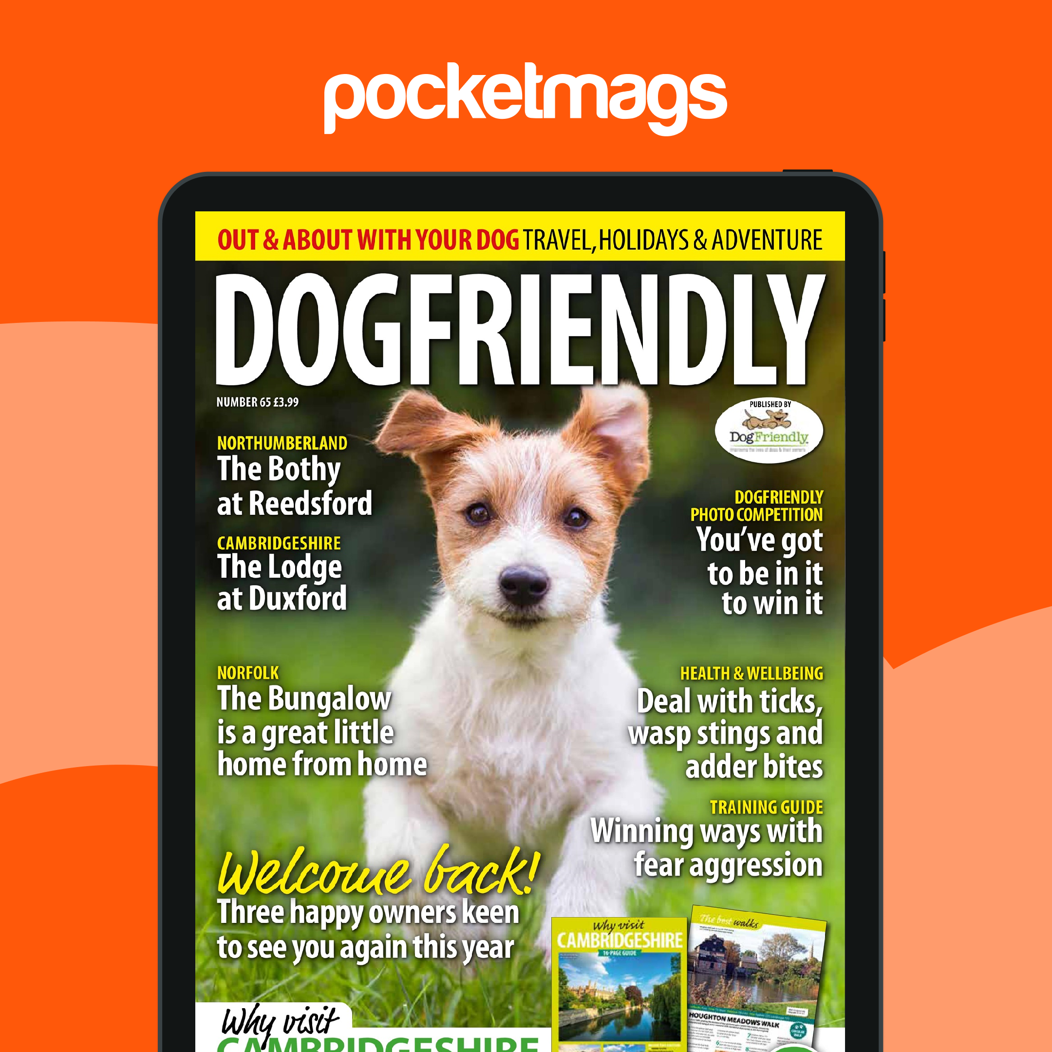 Dog Friendly Magazine - May-Jun 21 Retour à l'édition précédente