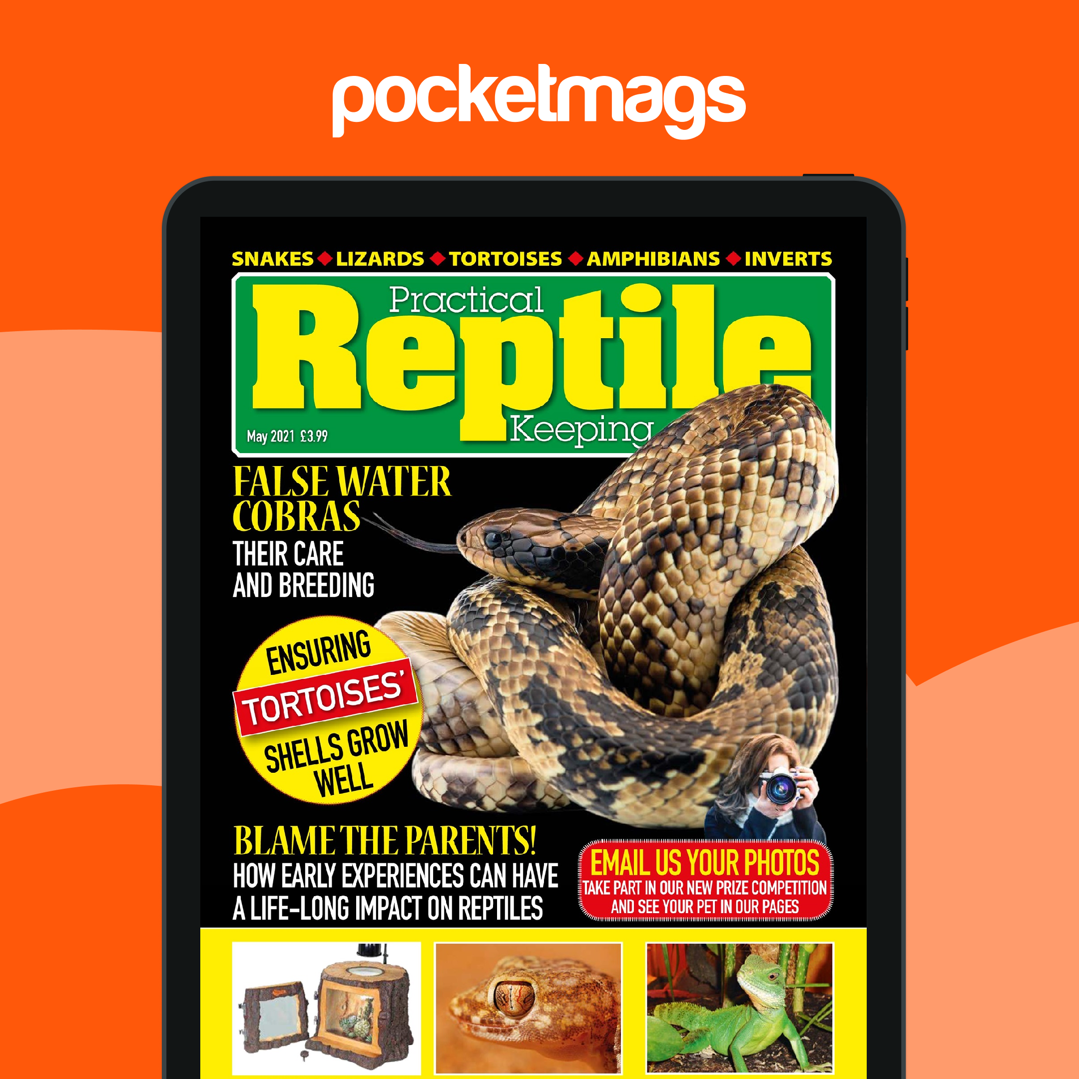 Practical Reptile Keeping Magazine - May 2021 Edición anterior