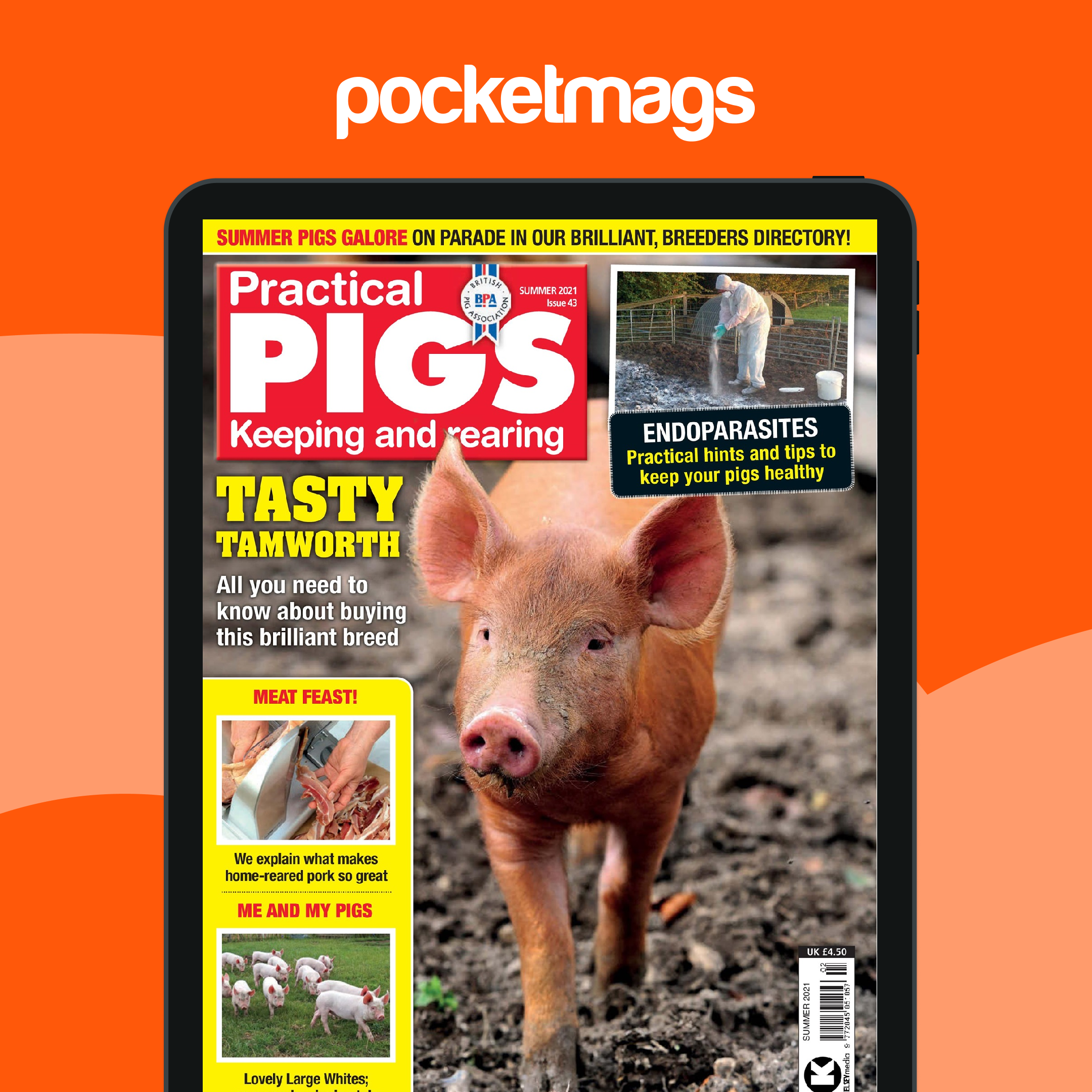 Practical Pigs Magazine - Summer 2021 Retour à l'édition précédente