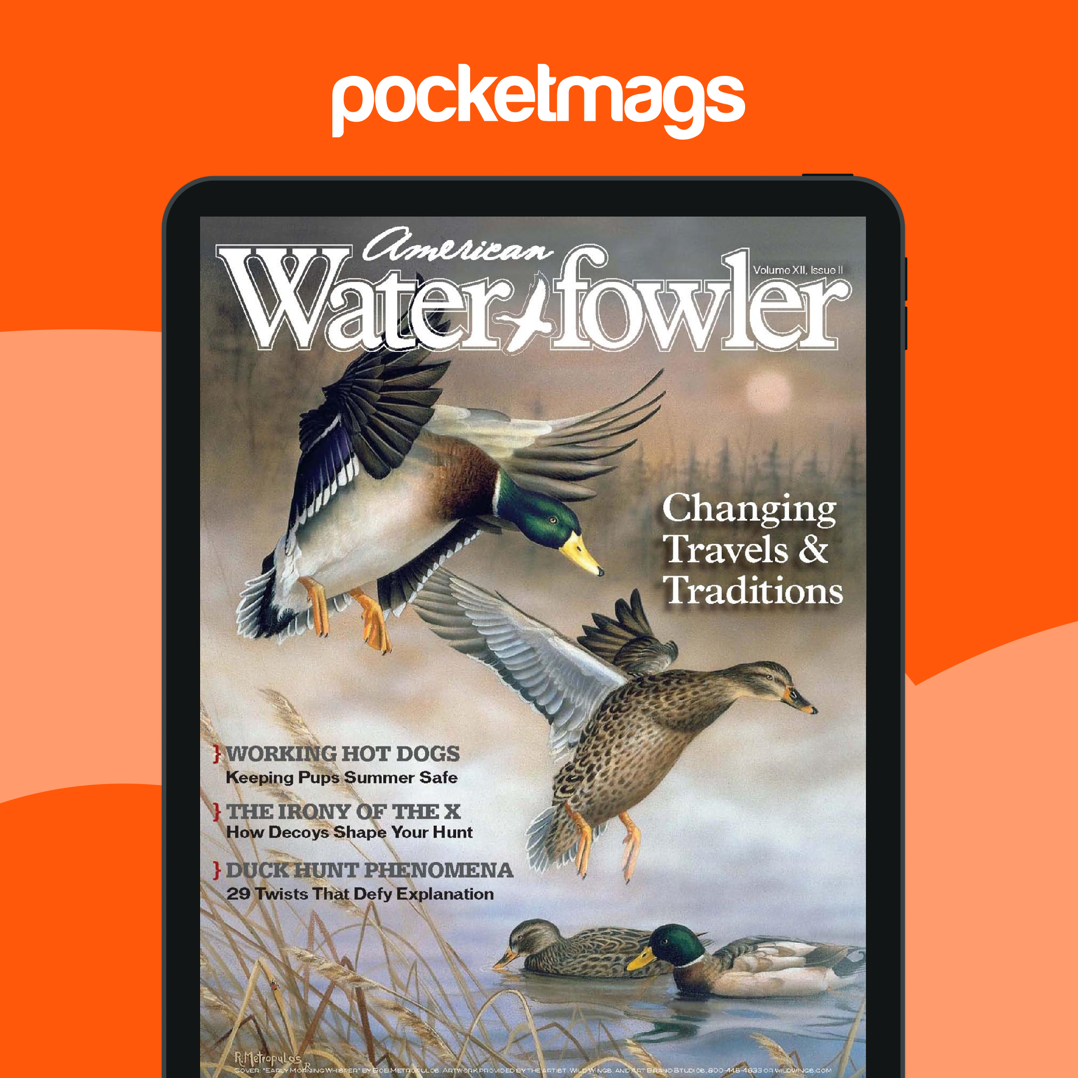 American Waterfowler Magazine - Volume XII, Issue II – June/July 2021 ...