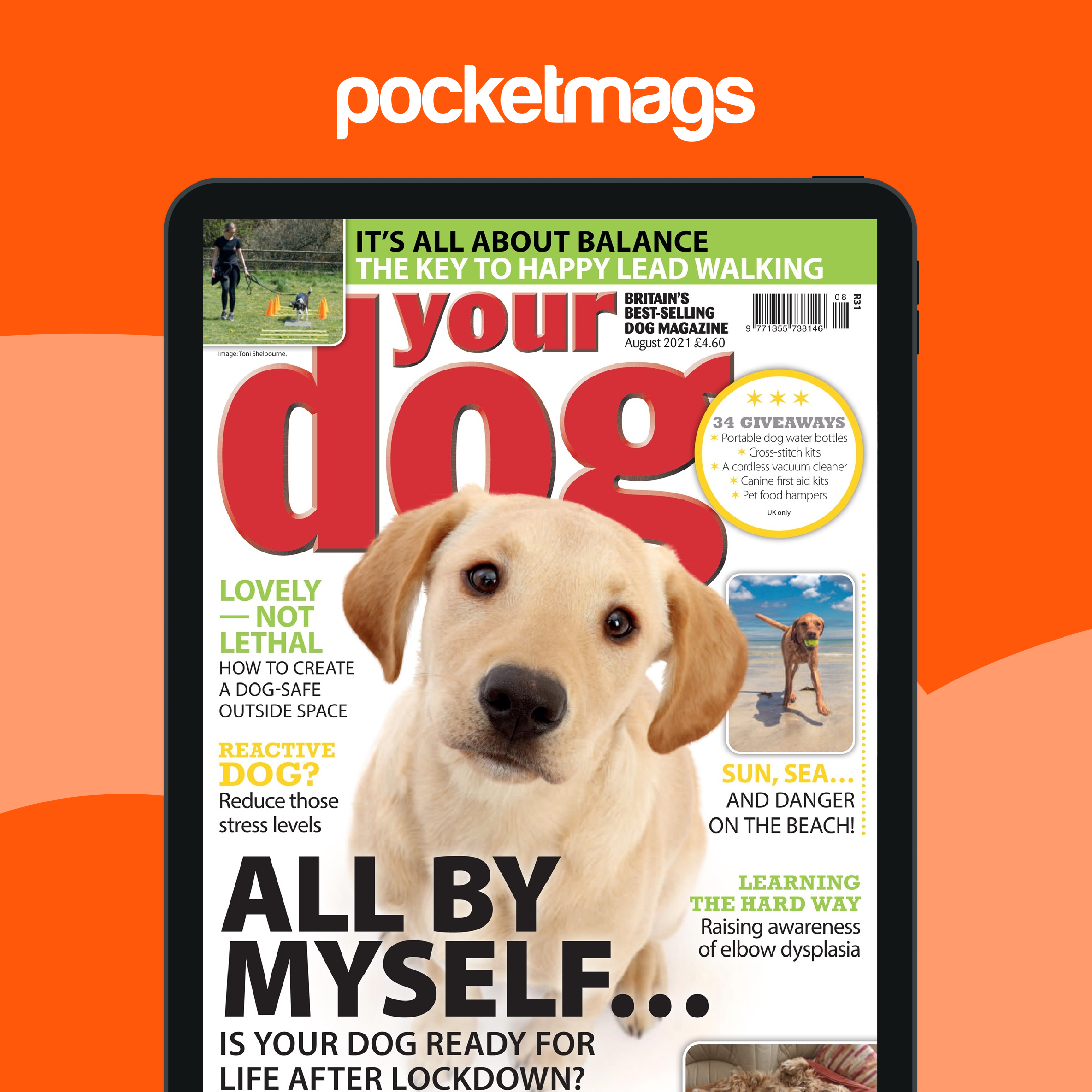 Your Dog Magazine - Your Dog Magazine August 2021 Retour à l'édition ...