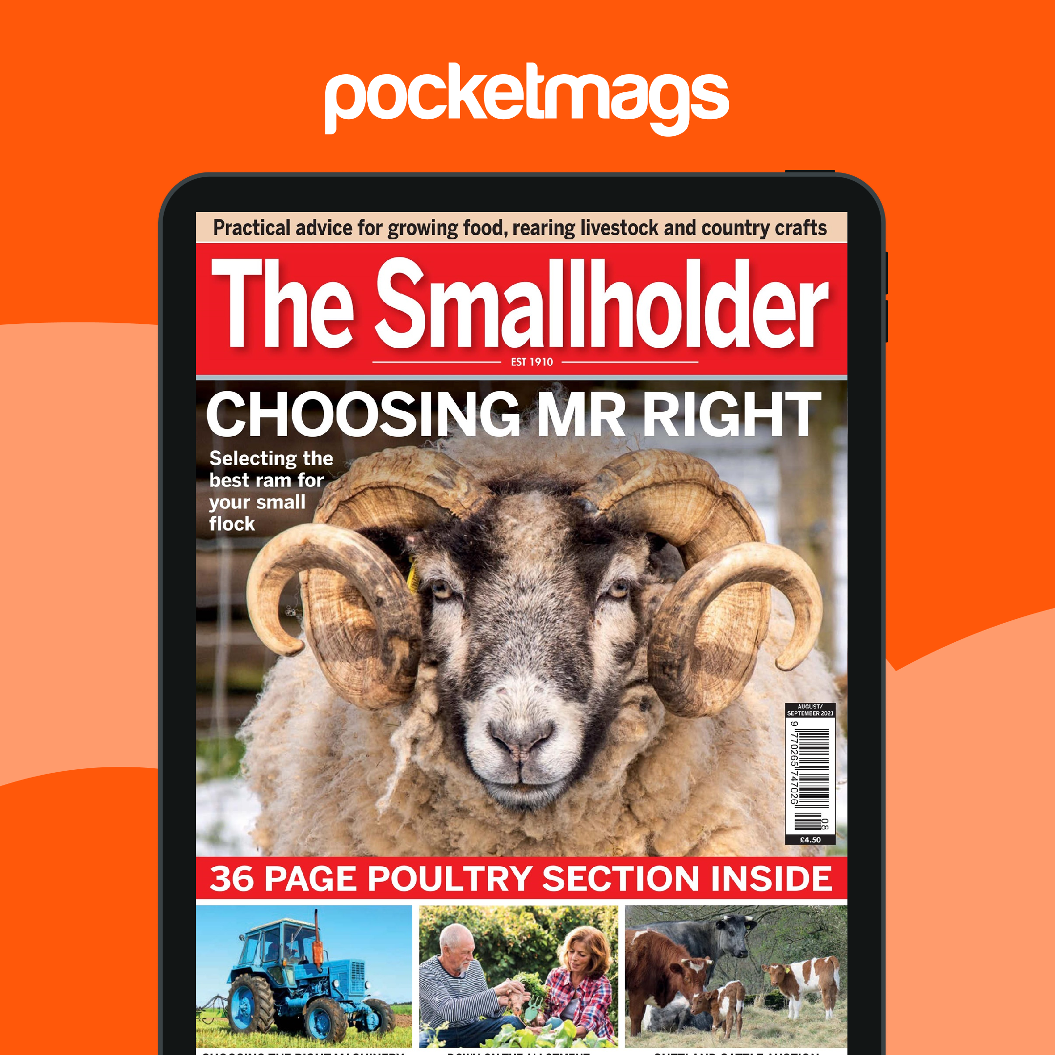 The Smallholder Magazine - Aug/Sep 2021 Edición anterior