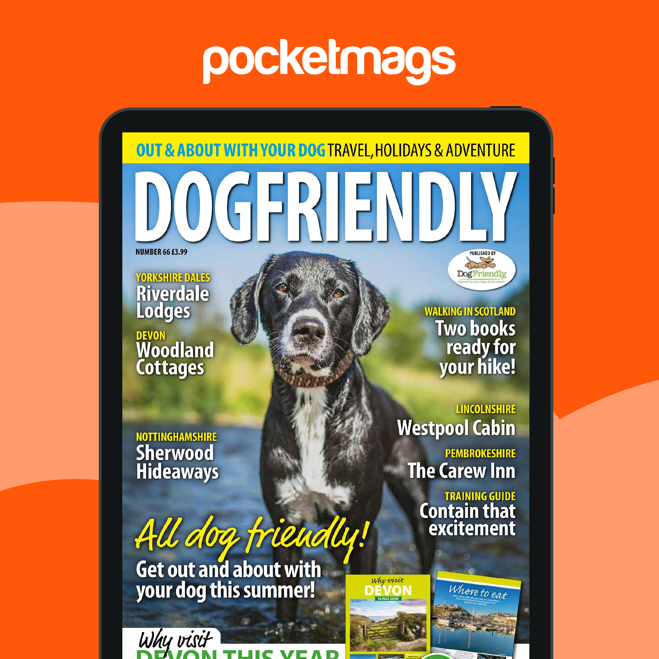 Dog Friendly Magazine - Jul-Aug 2021 Edición anterior