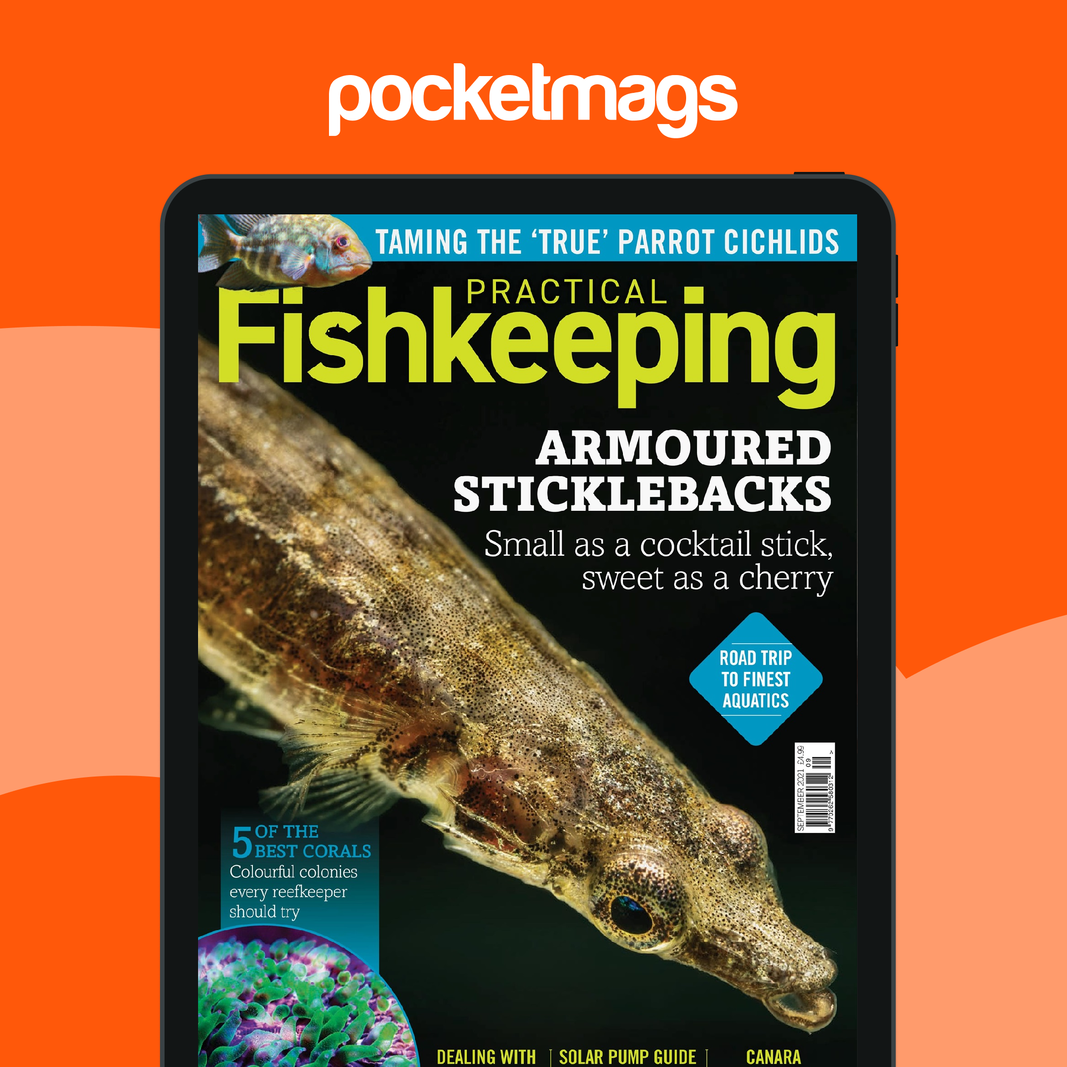 Practical Fishkeeping Magazine - Practical Fishkeeping Magazine ...