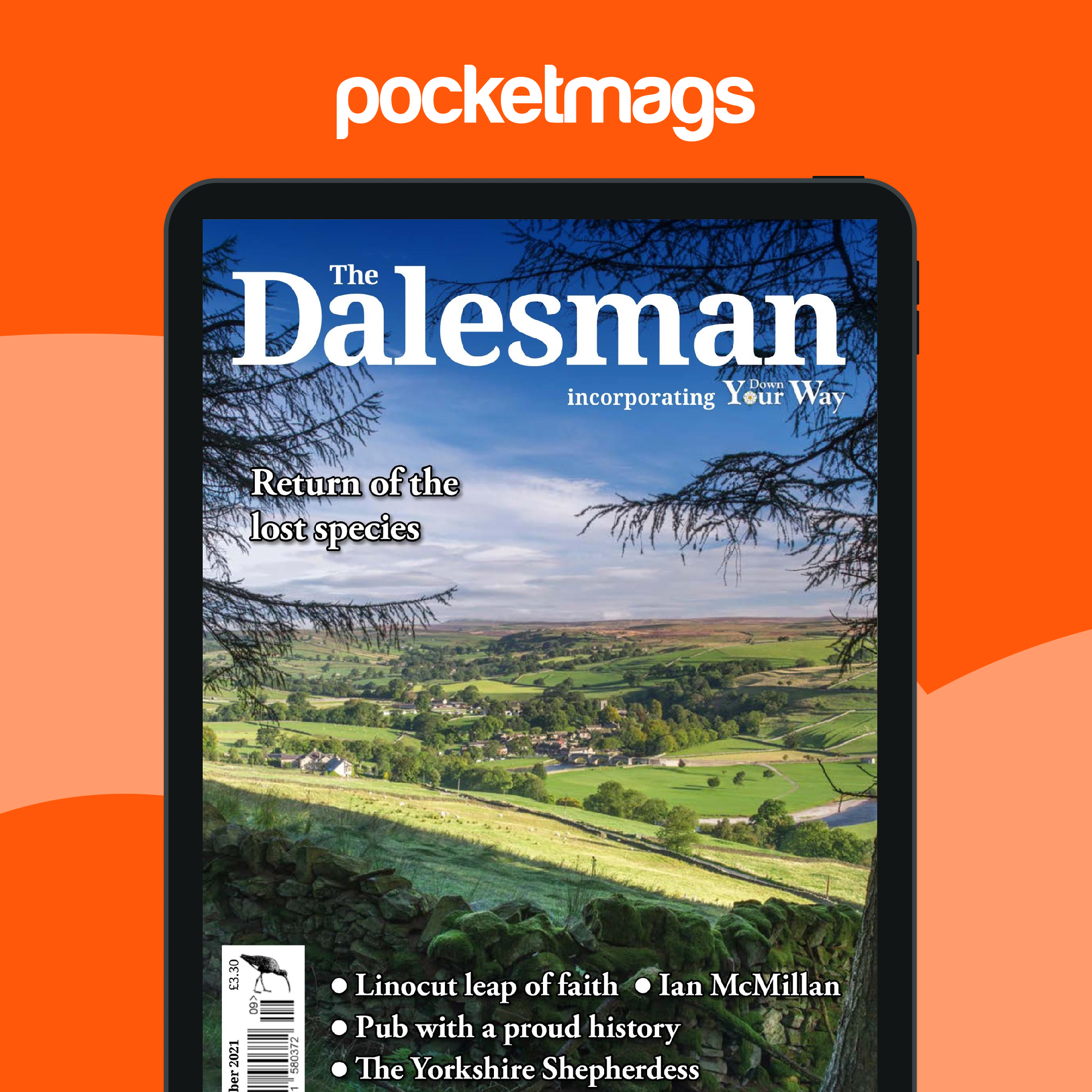 The Yorkshire Dalesman Magazine - September 2021 Back Issue