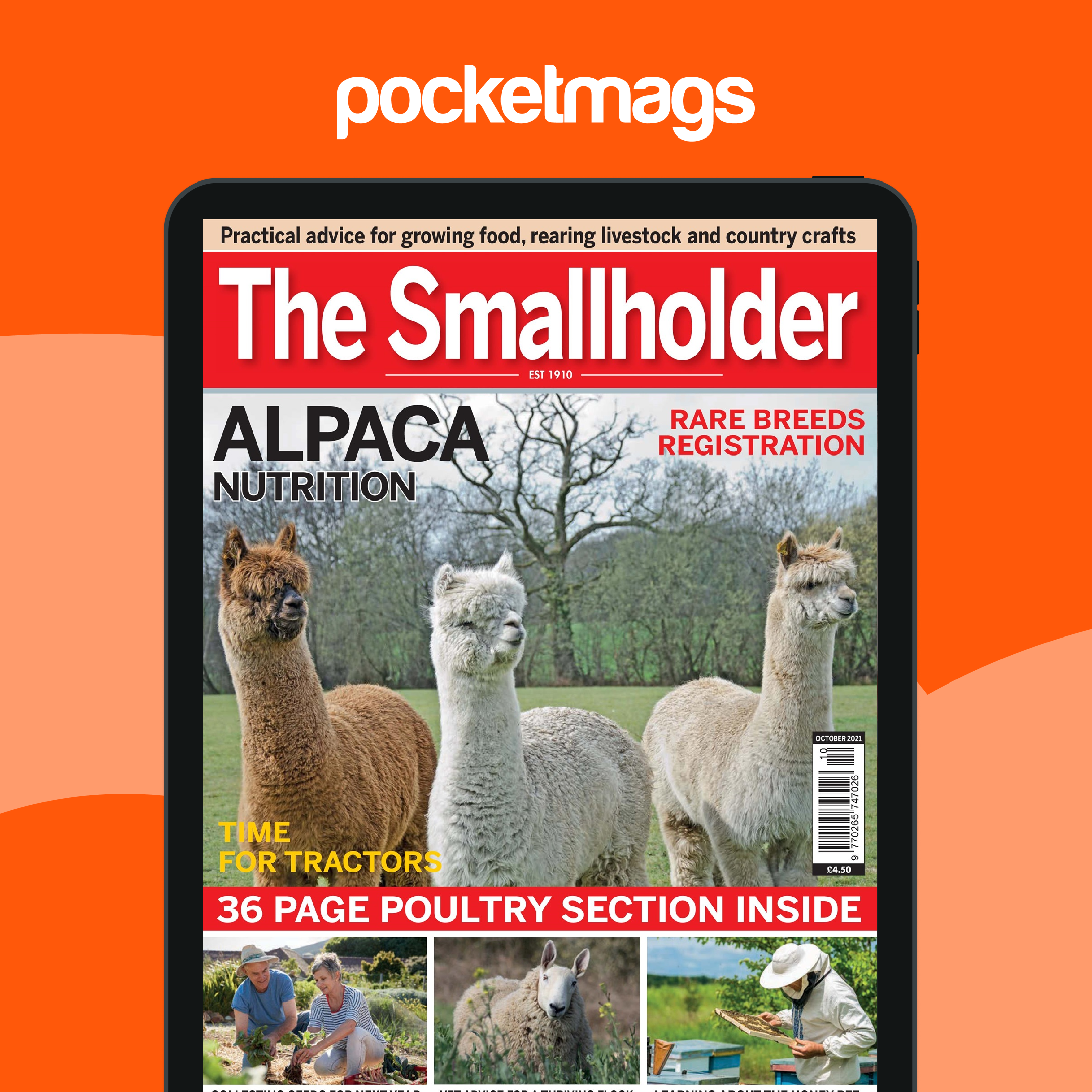 The Smallholder Magazine - October 2021 Edición anterior