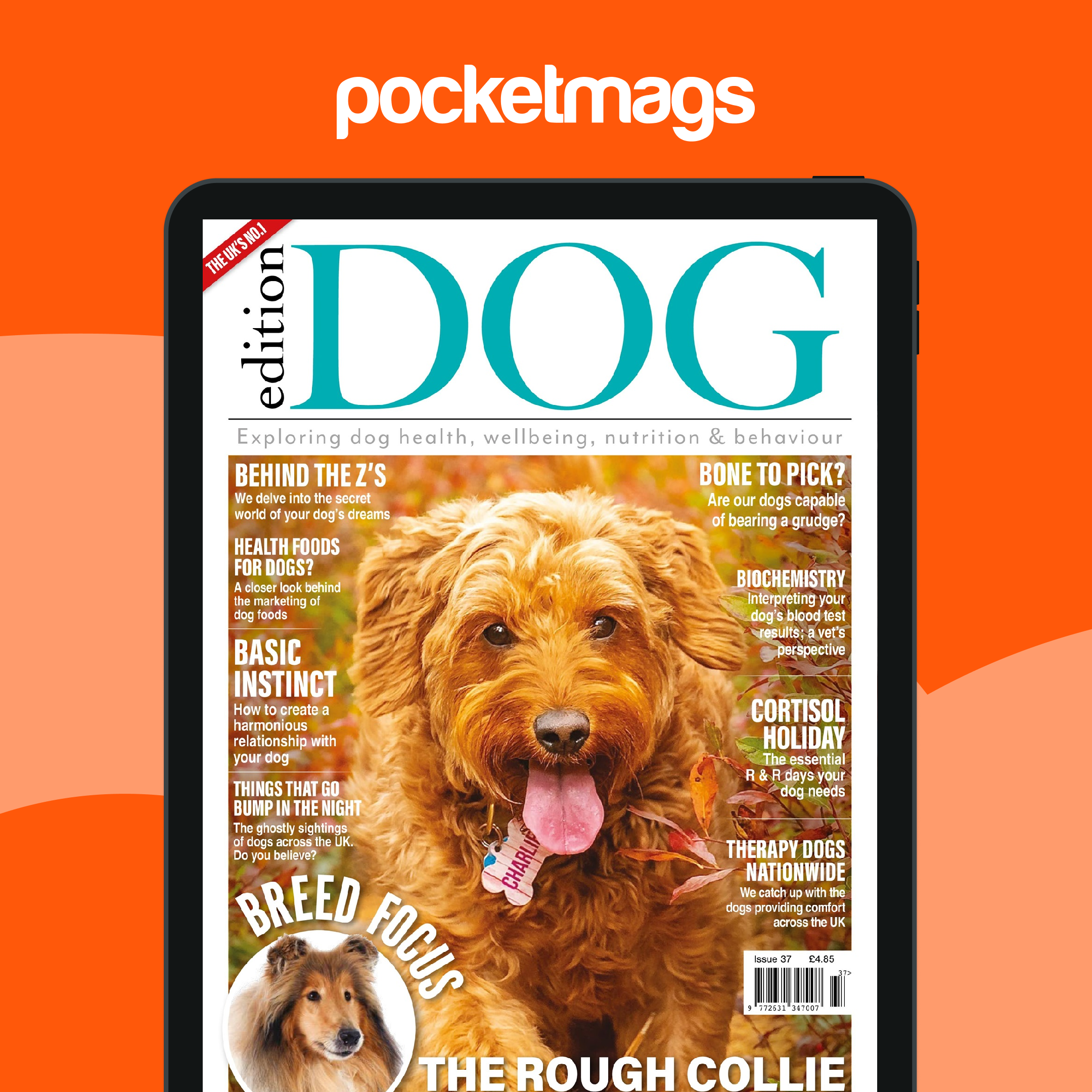 Edition Dog Magazine - Issue 37 Edição anterior