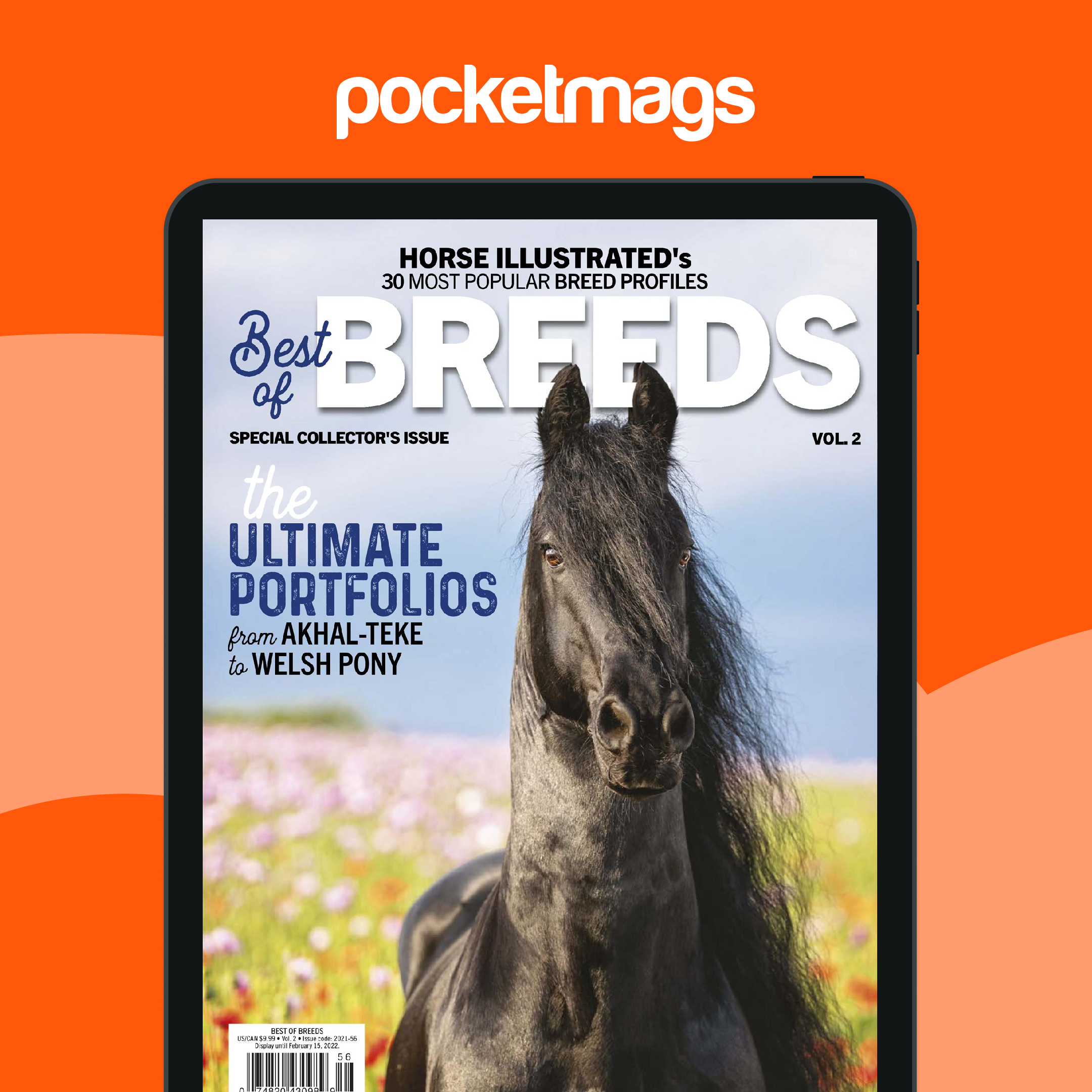 Horse Illustrated Magazine - Best of Breeds Edición especial