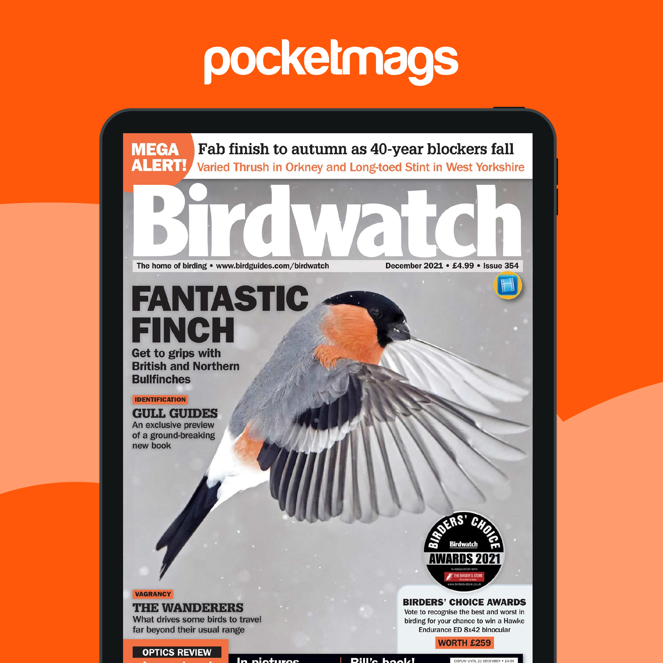 Birdwatch Magazine - December 2021 Back Issue