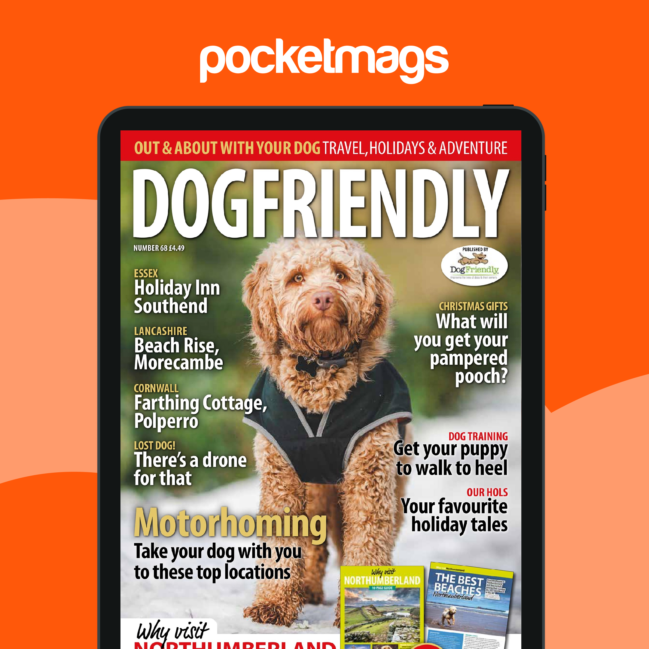 Dog Friendly Magazine - Nov-Dec 2021 Back Issue