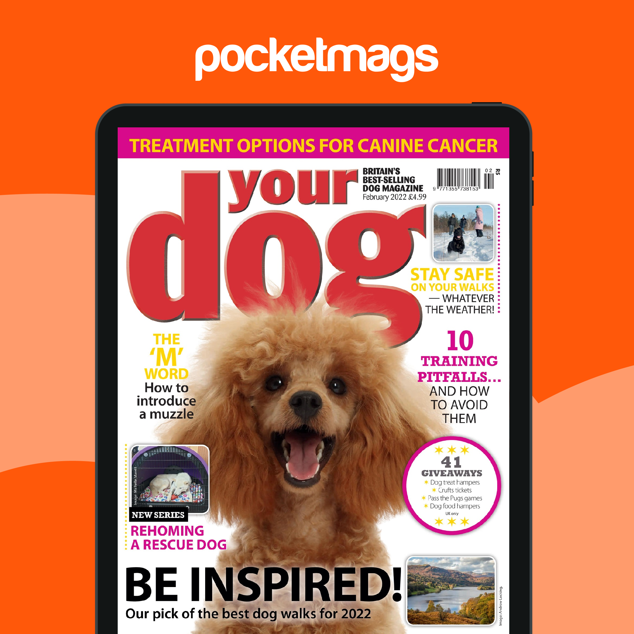 Your Dog Magazine - Your Dog Magazine February 2022 Back Issue