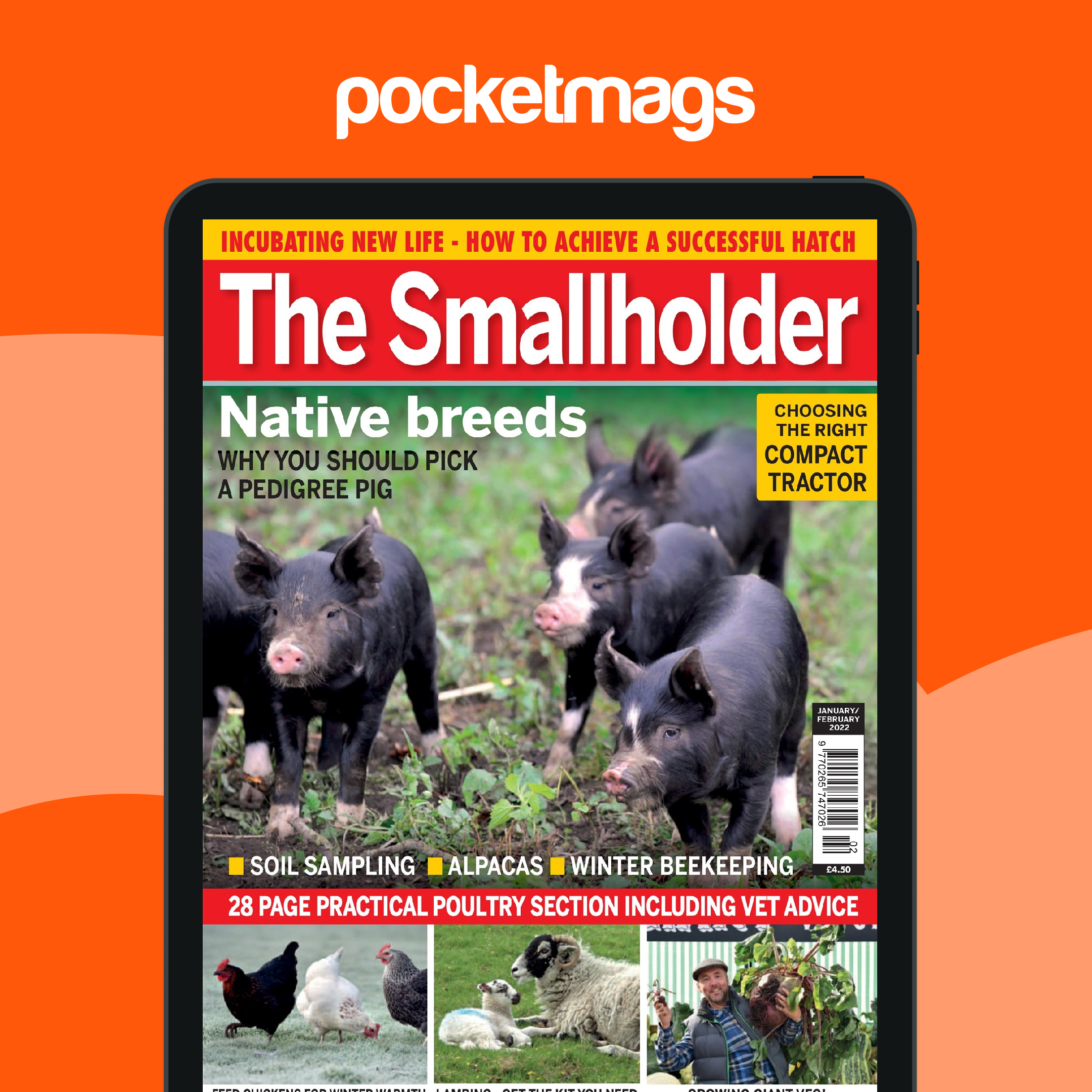 The Smallholder Magazine - Jan/Feb 2022 Retour à l'édition précédente