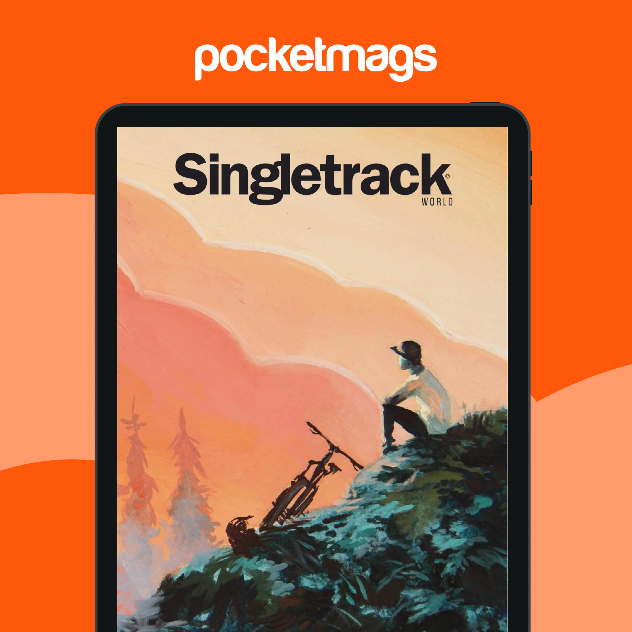Singletrack Magazine - Issue 142 Back Issue