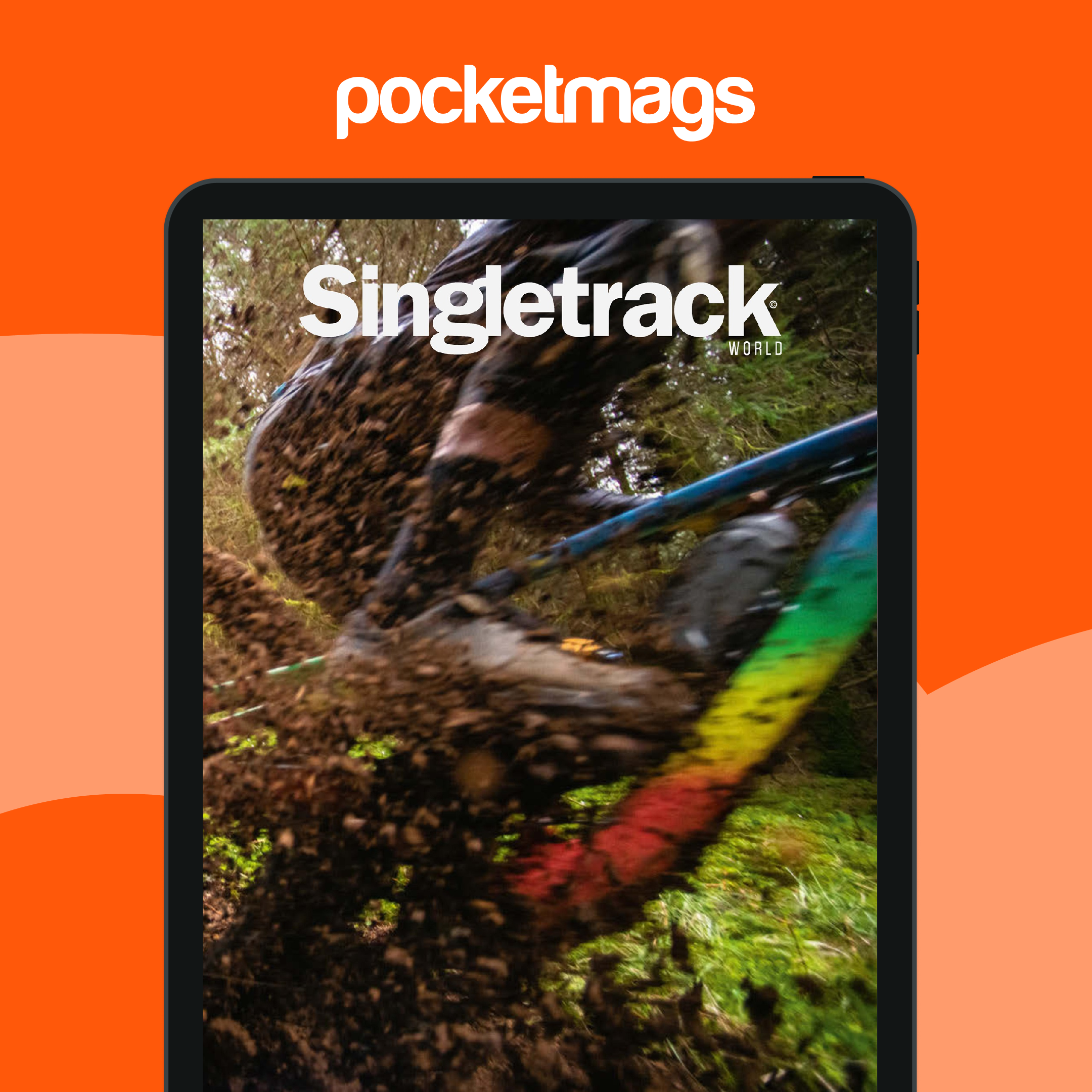 Singletrack Magazine - Issue 146 Back Issue