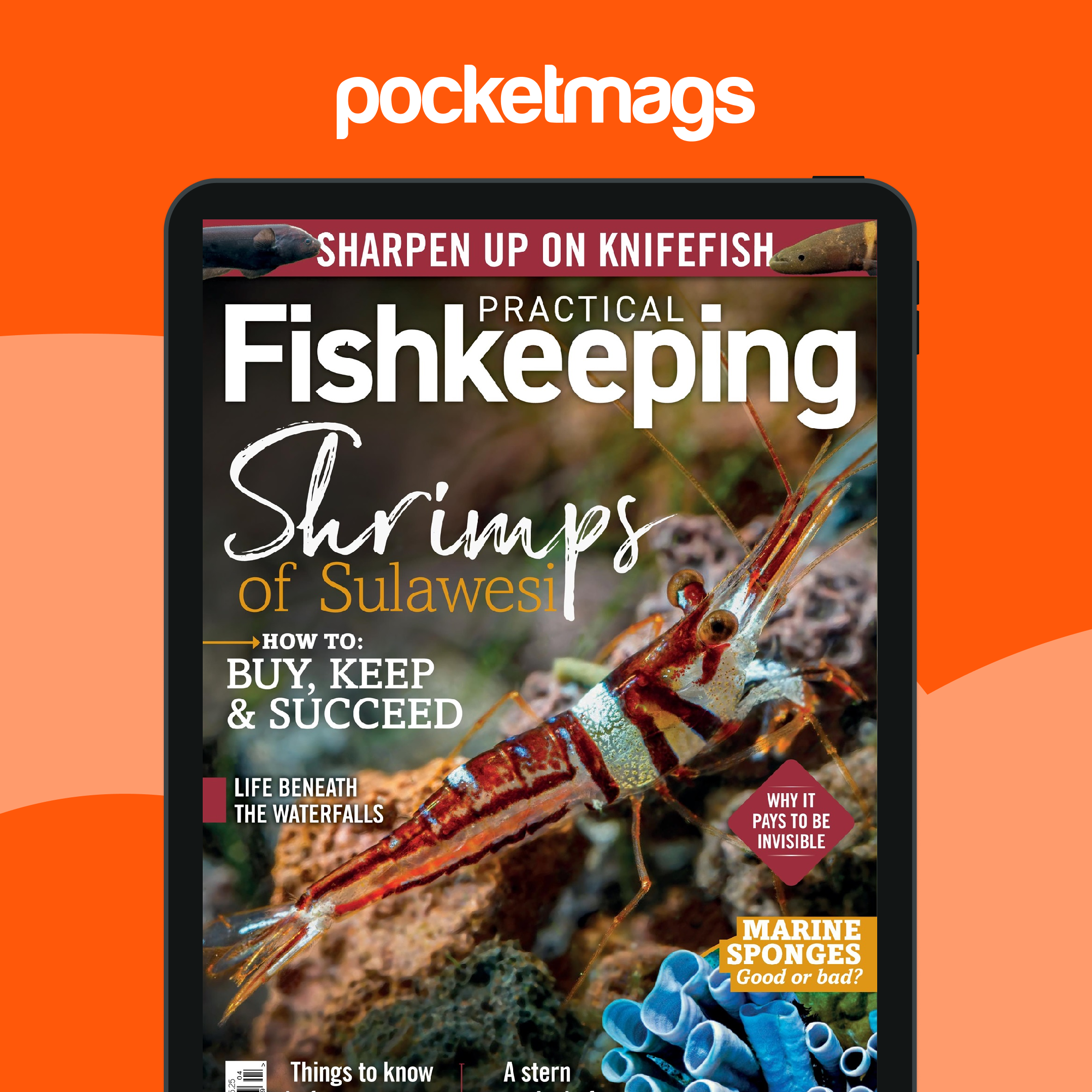 Practical Fishkeeping Magazine - Practical Fishkeeping April 2022 ...