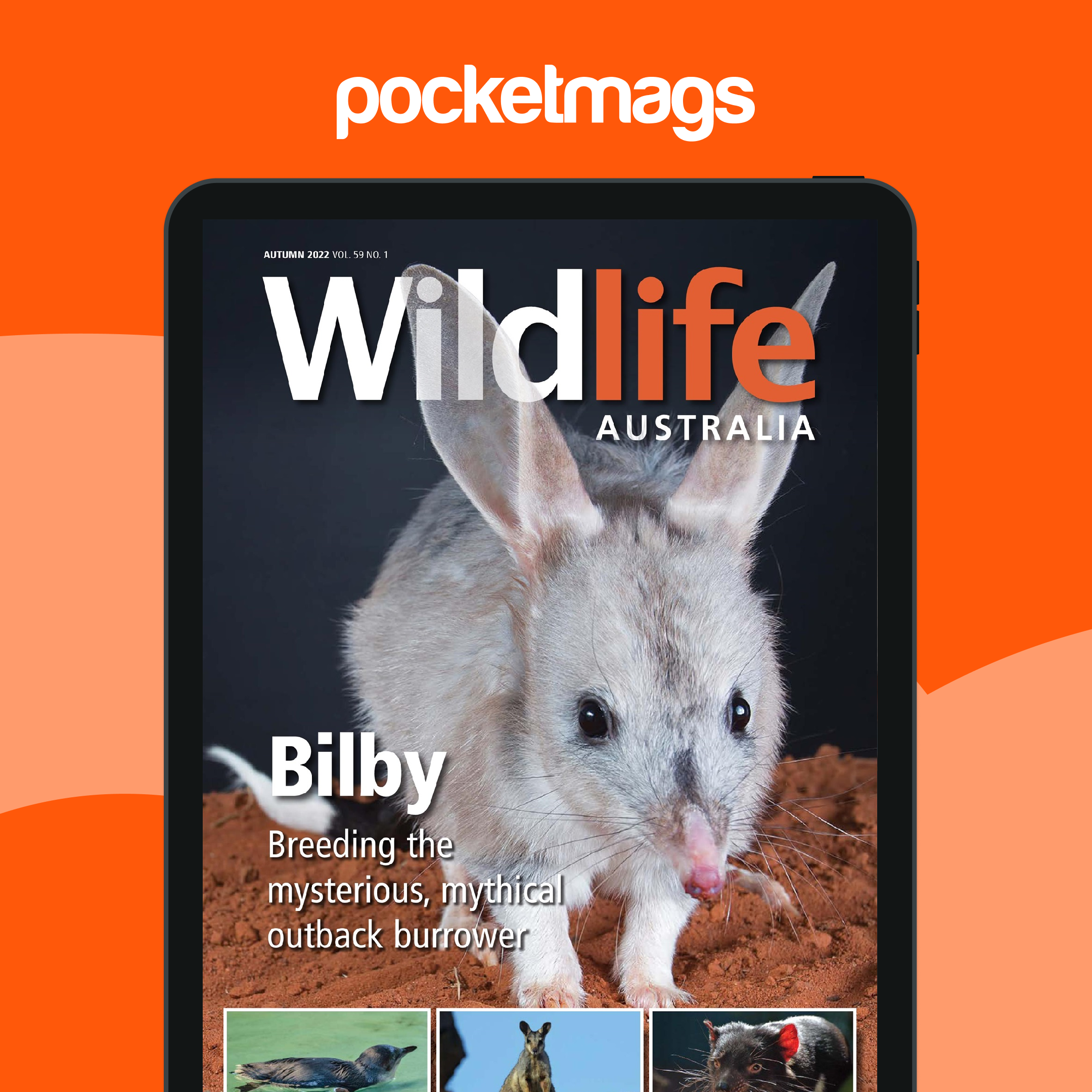 Wildlife Australia Magazine - Wildlife Australia Autumn 2022 Back Issue