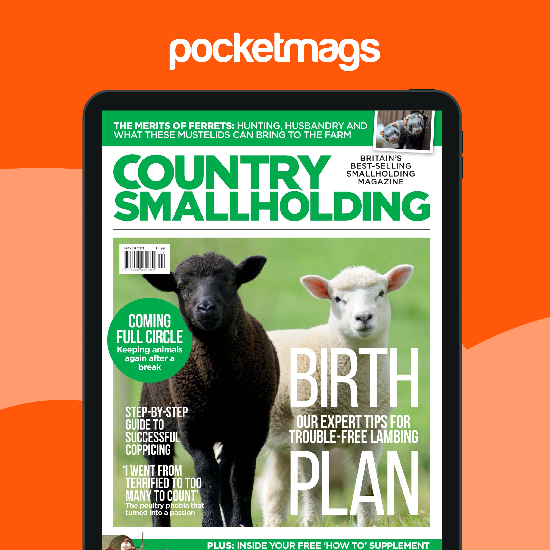 The Country Smallholder Magazine - March 2021 Edición anterior