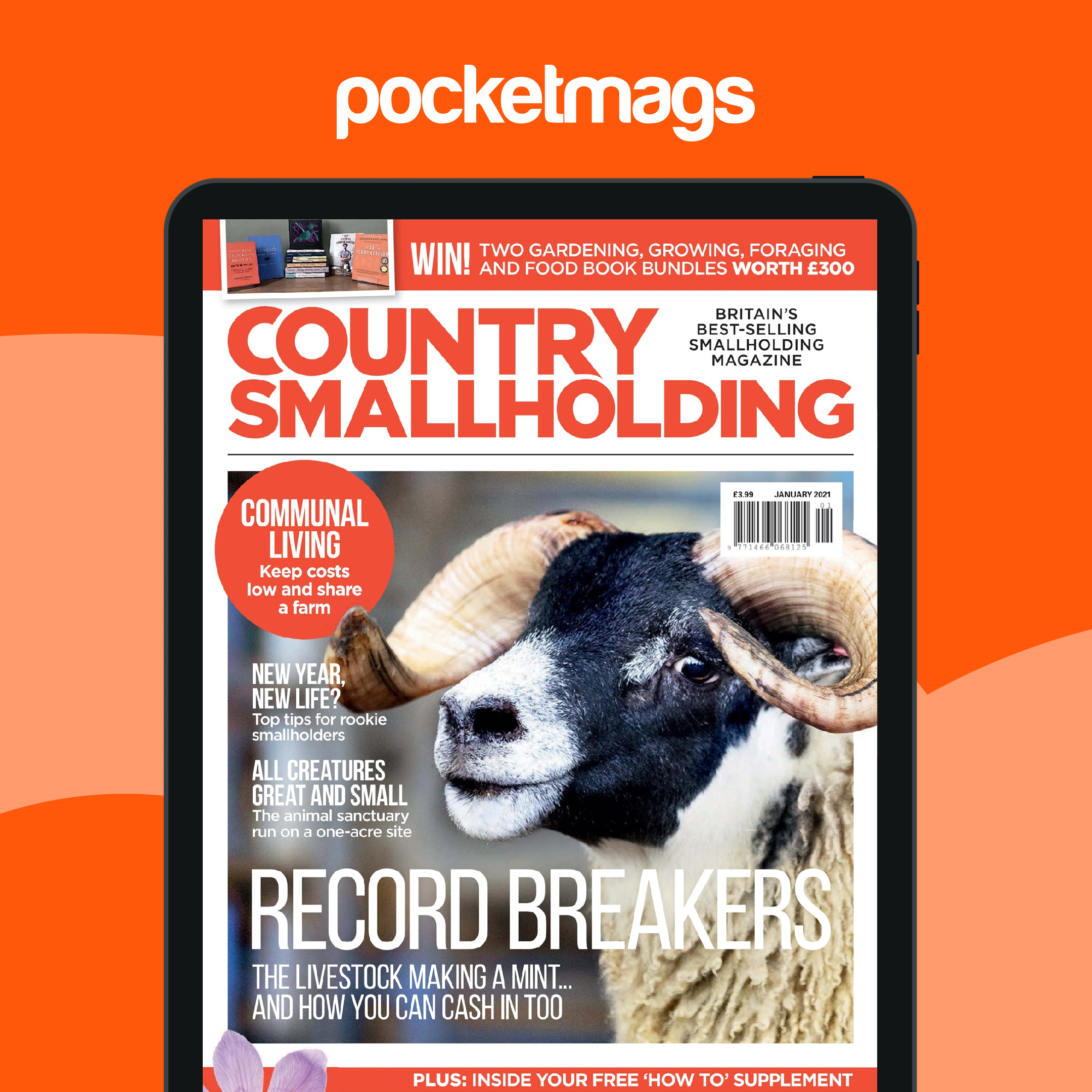 The Country Smallholder Magazine - January 2021 Back Issue