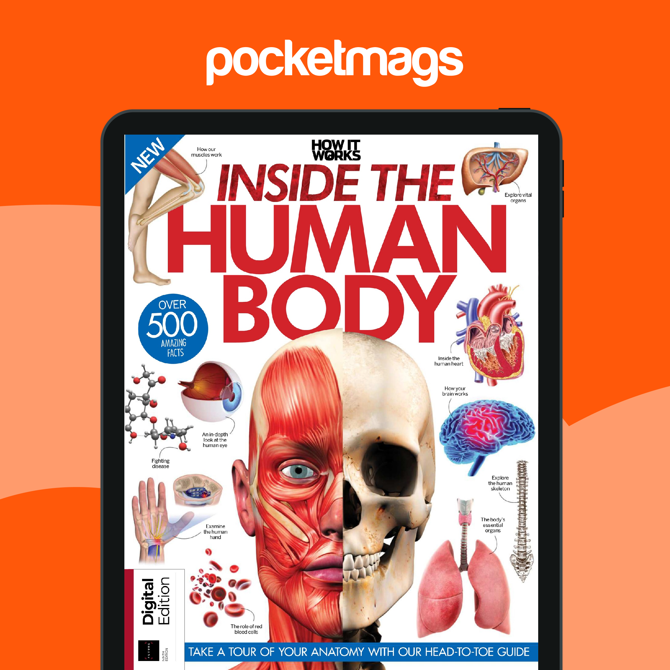 How It Works Bookazine - How It Works: Inside The Human Body Ninth ...